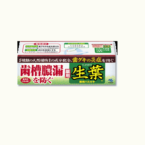 リニューアル等により商品パッケージが予告なしに変更される場合がございます。ご了承のうえお買い求めくださいませ。 ヒノキチオール（ヒバ含有成分）が殺菌し、歯周病（歯槽膿漏、歯肉炎の総称）を予防します。 抗炎症剤のグリチルリチン酸ジカリウム（カ...