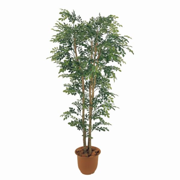 ◆サイズ◆高さ180cm鉢サイズ：直径30×高さ26cm人工観葉植物トネリコ180cm◆材　質◆ポリエステル製◆幹材質◆天然木製◆鉢材質◆プラスチック製用途により、お手持ちか別売りのポットカバーをご使用ください。Artificial Tre...