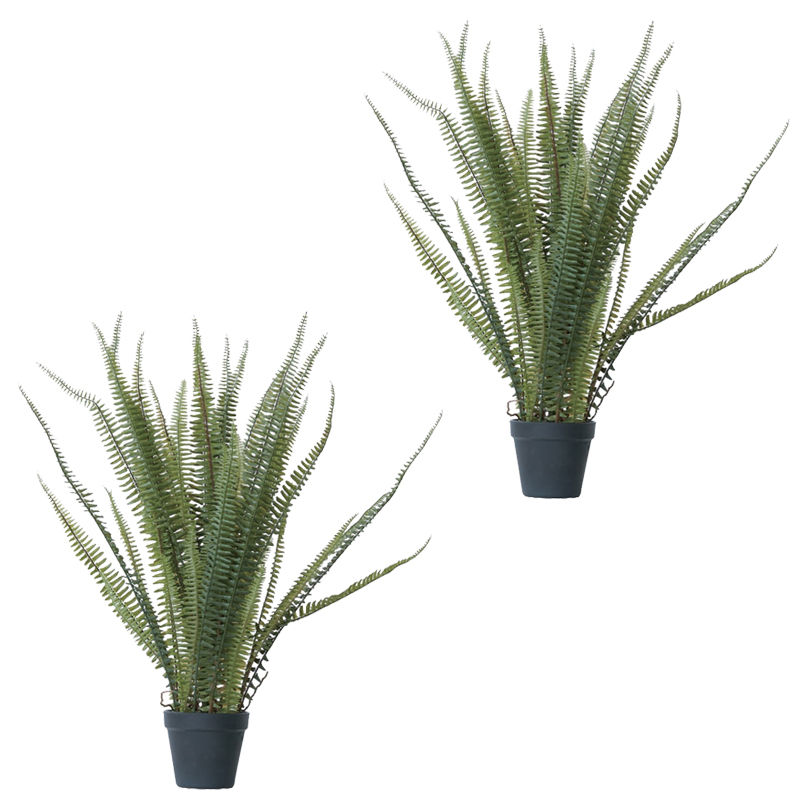 サイズ高さ70cmポットサイズ：約高さ11×直径12.5cm人工観葉植物ボストンファーン ポット グリーン 70　（ 2 個入り）材質：ポリエチレン水やり不要の人工観葉植物です。スタイリッシュに空間をデザイン、お好みのポットや鉢にセットして...