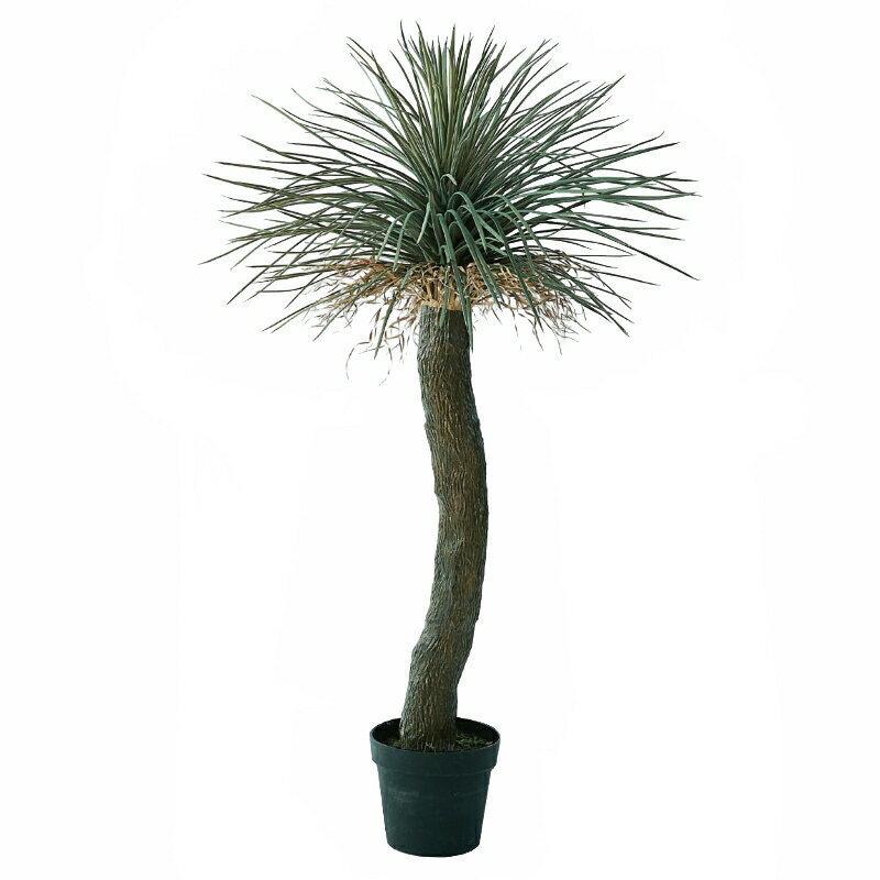 サイズ高さ120cmポットサイズ：約高さ17×直径20cm人工観葉植物ユッカ ロストラータポット 120　（ 1 個入り）材質：ポリエチレン水やり不要の人工観葉植物です。スタイリッシュに空間をデザイン、お好みのポットや鉢にセットして。ホテル...