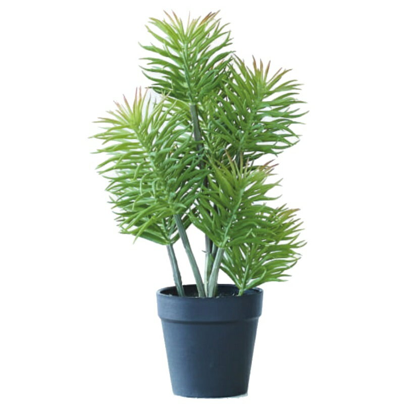 サイズ高さ30cmポットサイズ：約高さ9×直径9cm人工観葉植物セネシオ ポット 30　（ 1 個入り）水やり不要の人工観葉植物です。スタイリッシュに空間をデザイン、お好みのポットや鉢にセットして。ホテルのロビー、レストラン、グリーンのディ...