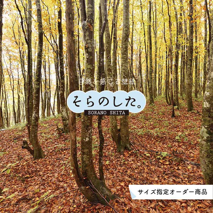 ▼ショップレビューはこちら 商品情報 販売価格について表示の価格は約1平米（幅90cm × 高さ1m）に対しての価格です。サイズを指定される場合、弊社独自のオーダーサイズ自動計算ツールで数量計算致しますので是非ご利用ください。 品番 ss1...