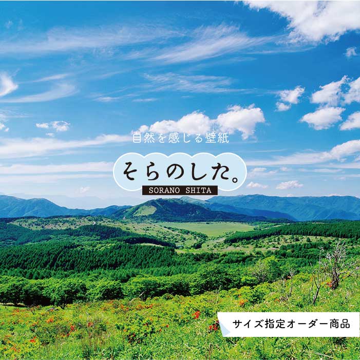 ▼ショップレビューはこちら 商品情報 販売価格について表示の価格は約1平米（幅90cm × 高さ1m）に対しての価格です。サイズを指定される場合、弊社独自のオーダーサイズ自動計算ツールで数量計算致しますので是非ご利用ください。 品番 ss1...