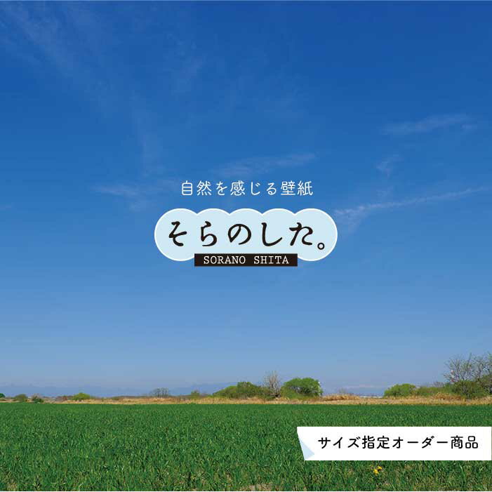 ▼ショップレビューはこちら 商品情報 販売価格について表示の価格は約1平米（幅90cm × 高さ1m）に対しての価格です。サイズを指定される場合、弊社独自のオーダーサイズ自動計算ツールで数量計算致しますので是非ご利用ください。 品番 ss1...