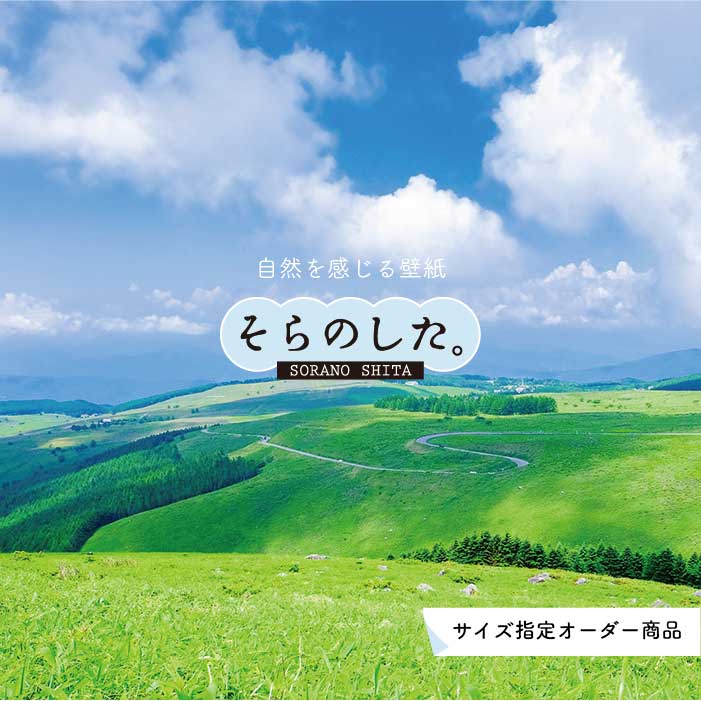 ▼ショップレビューはこちら 商品情報 販売価格について表示の価格は約1平米（幅90cm × 高さ1m）に対しての価格です。サイズを指定される場合、弊社独自のオーダーサイズ自動計算ツールで数量計算致しますので是非ご利用ください。 品番 ss1...