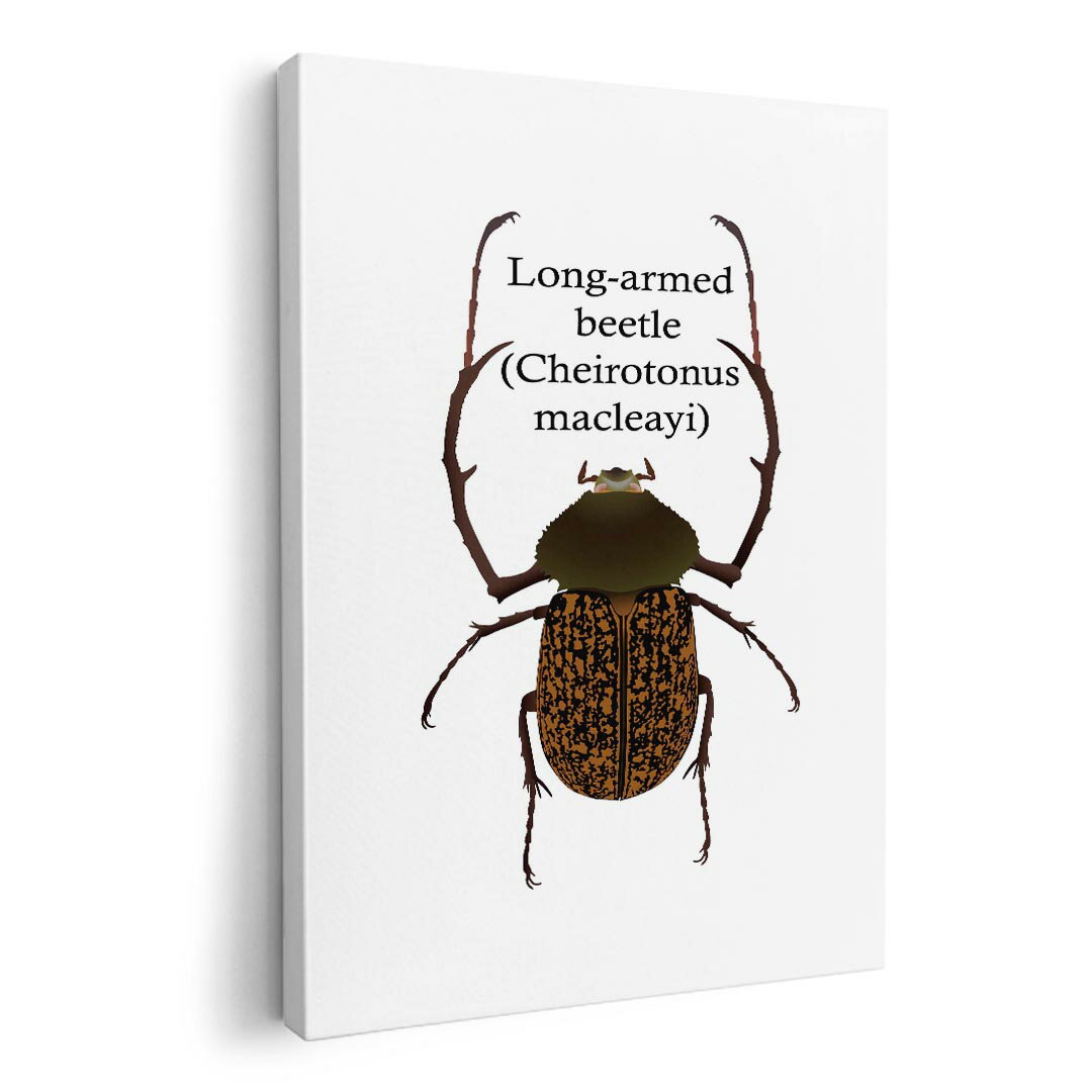 ファブリックパネル　ポスター アートフレーム　キャンバスアート 玄関 リビング　アートボード同じデザインの各サイズへはこちらから ▼　▼　▼　▼　▼&nbsp;