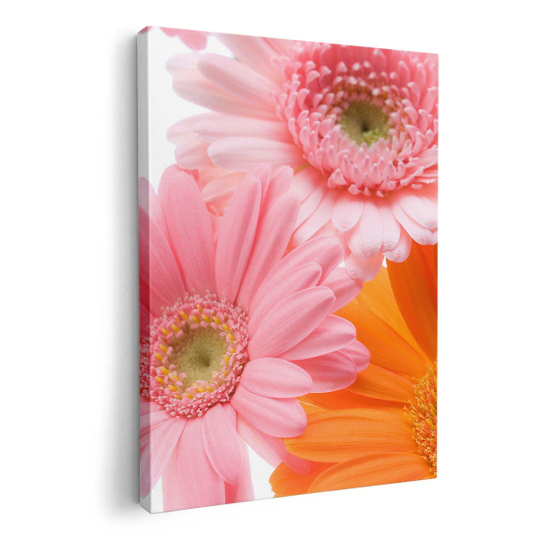 ファブリックパネル　ポスター アートフレーム　キャンバスアート 玄関 リビング　アートボード同じデザインの各サイズへはこちらから ▼　▼　▼　▼　▼&nbsp;