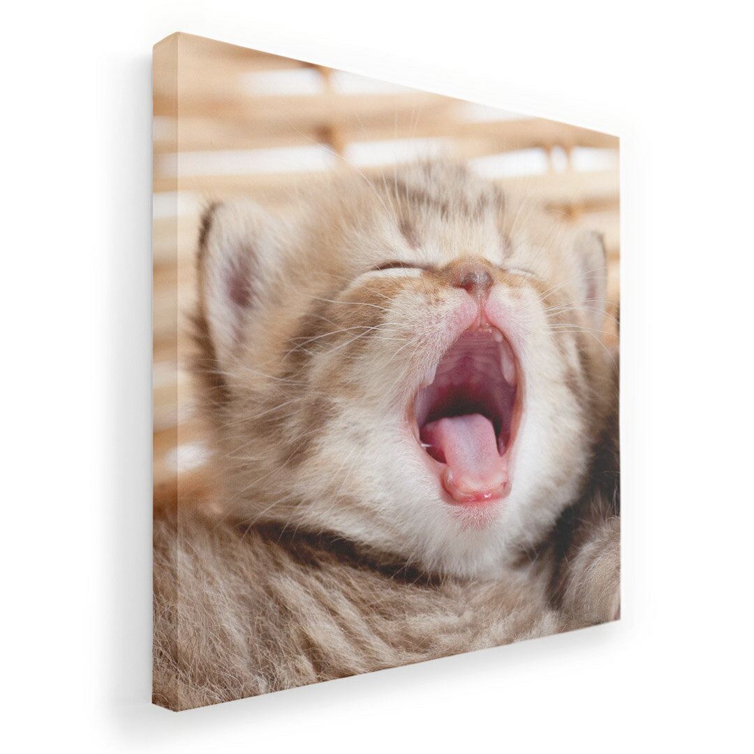 ファブリックパネル　ポスター アートフレーム　キャンバスアート 玄関 リビング　アートボード同じデザインの各サイズへはこちらから ▼　▼　▼　▼　▼&nbsp;