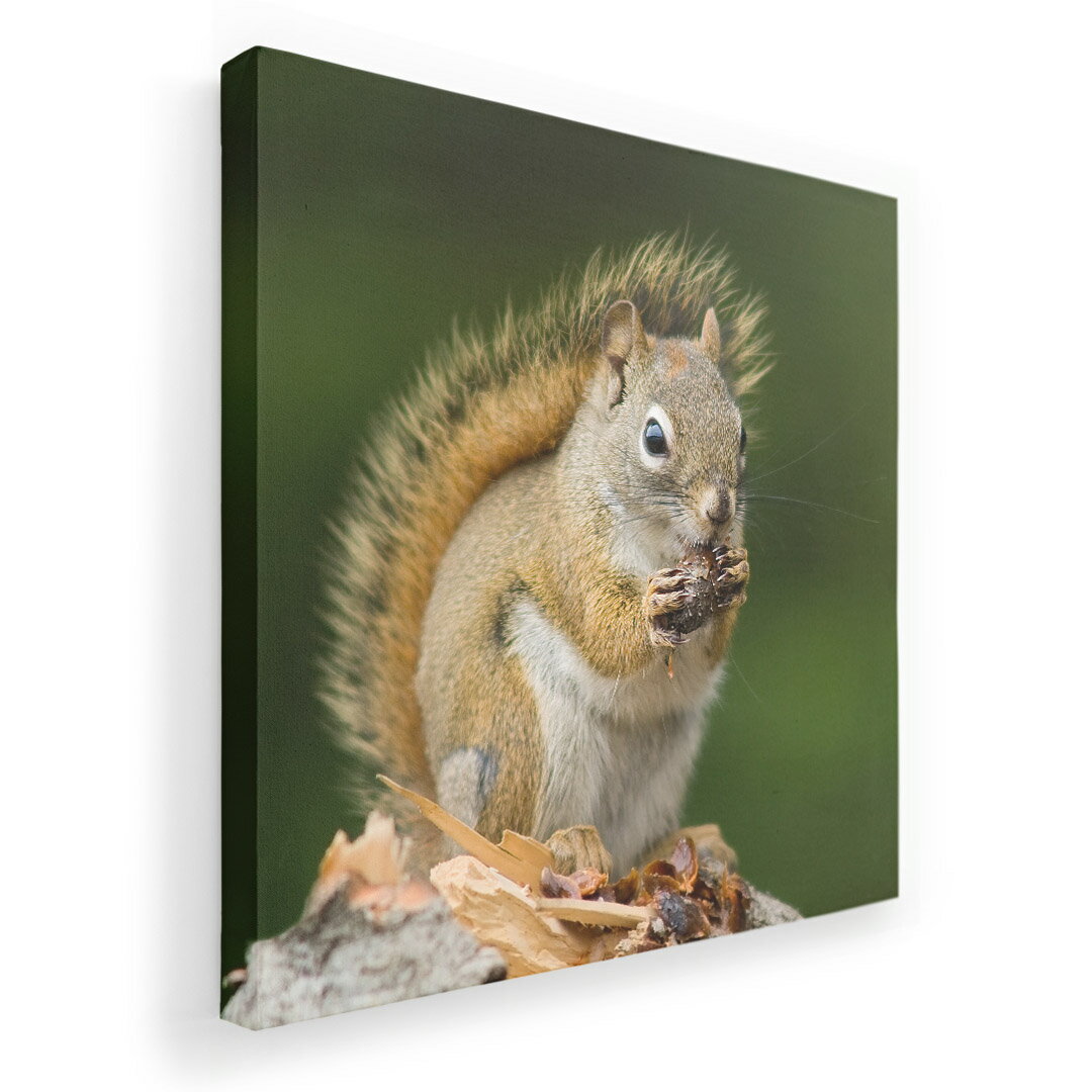 ファブリックパネル　ポスター アートフレーム　キャンバスアート 玄関 リビング　アートボード同じデザインの各サイズへはこちらから ▼　▼　▼　▼　▼&nbsp;