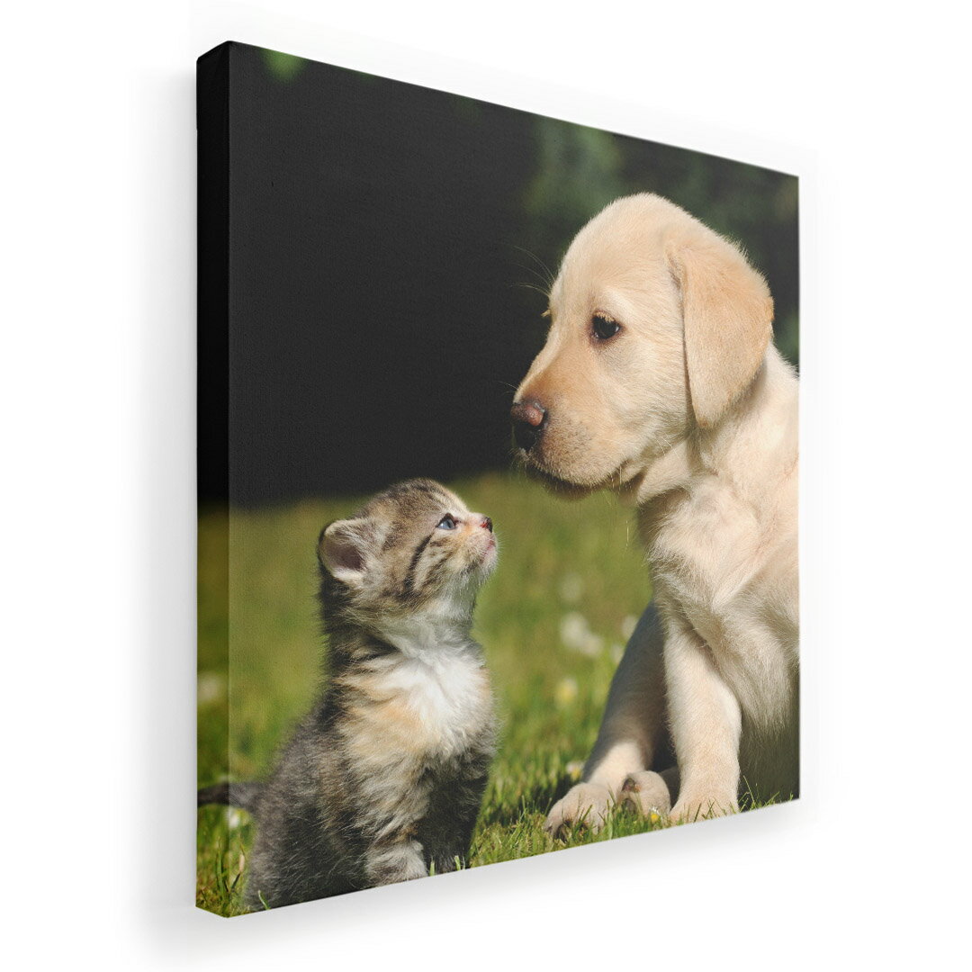 ファブリックパネル　ポスター アートフレーム　キャンバスアート 玄関 リビング　アートボード同じデザインの各サイズへはこちらから ▼　▼　▼　▼　▼&nbsp;