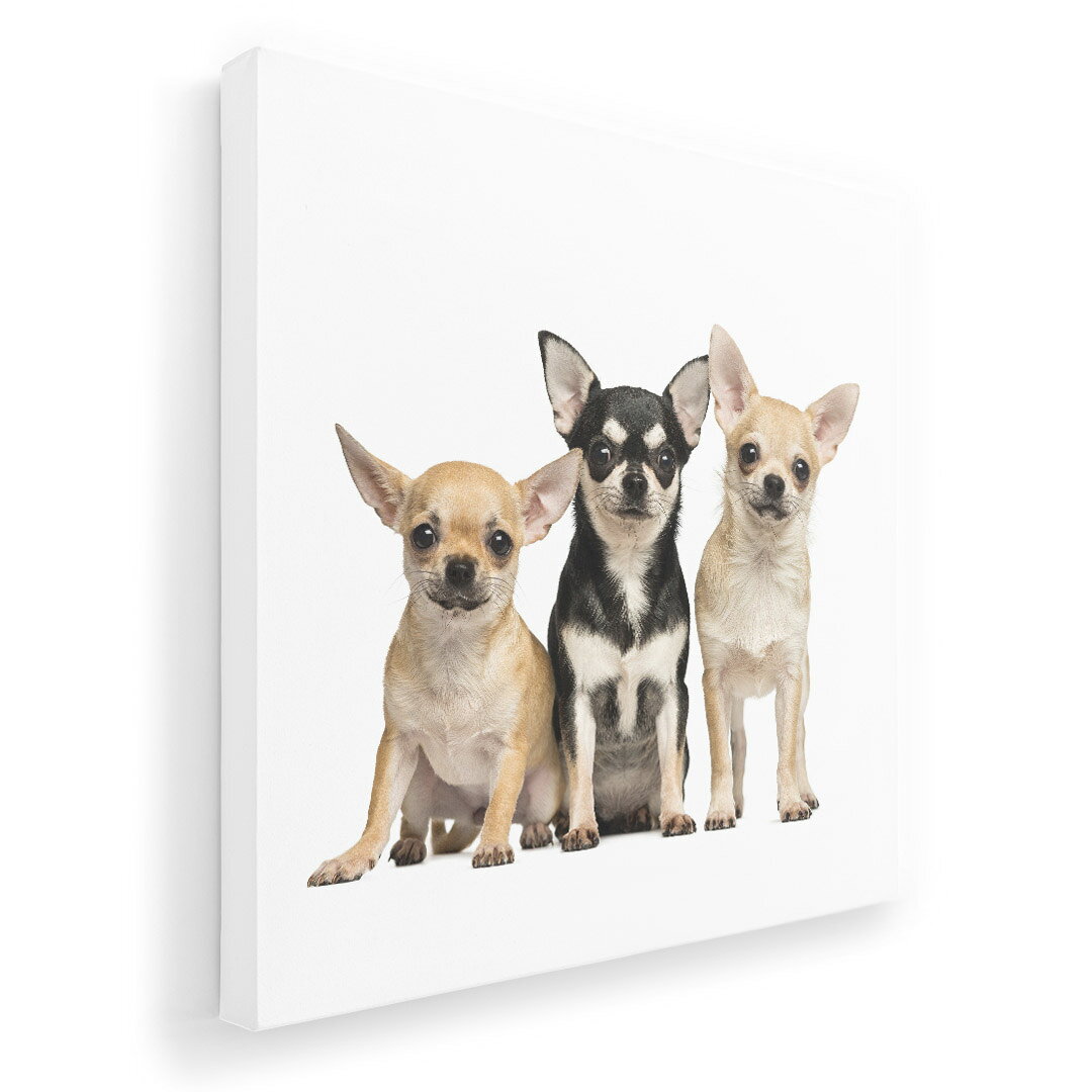 ファブリックパネル　ポスター アートフレーム　キャンバスアート 玄関 リビング　アートボード同じデザインの各サイズへはこちらから ▼　▼　▼　▼　▼&nbsp;