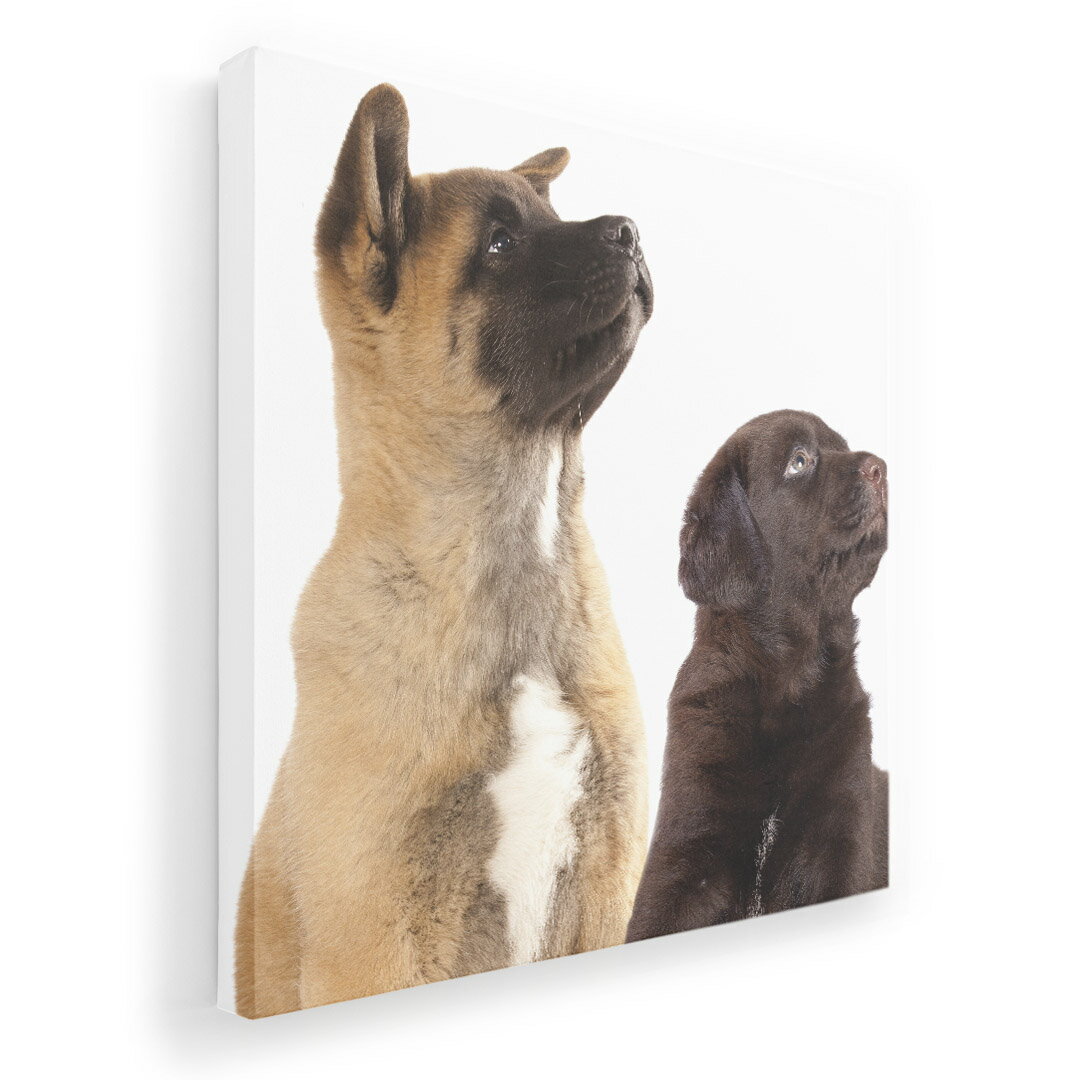 ファブリックパネル　ポスター アートフレーム　キャンバスアート 玄関 リビング　アートボード同じデザインの各サイズへはこちらから ▼　▼　▼　▼　▼&nbsp;