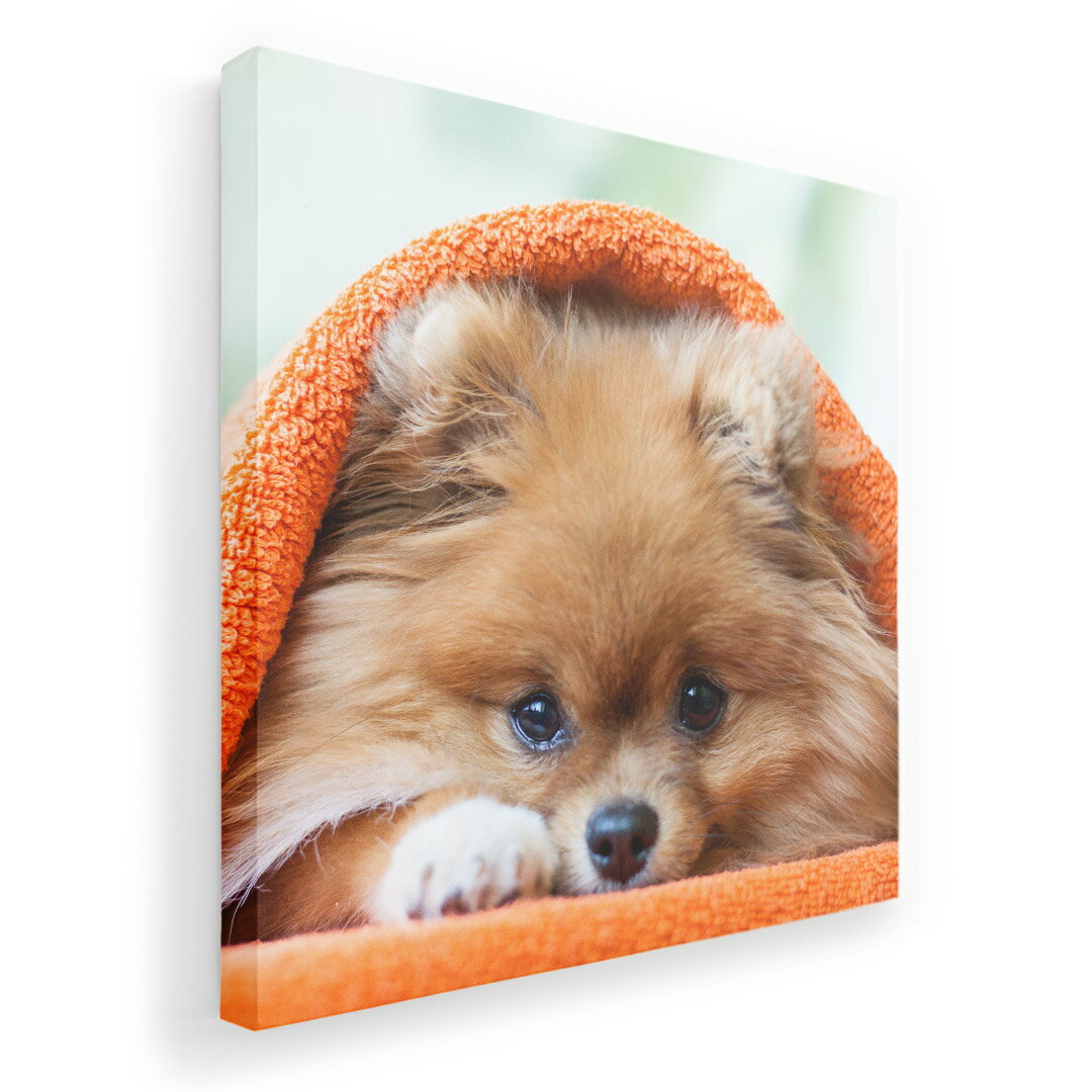 ファブリックパネル　ポスター アートフレーム　キャンバスアート 玄関 リビング　アートボード同じデザインの各サイズへはこちらから ▼　▼　▼　▼　▼&nbsp;