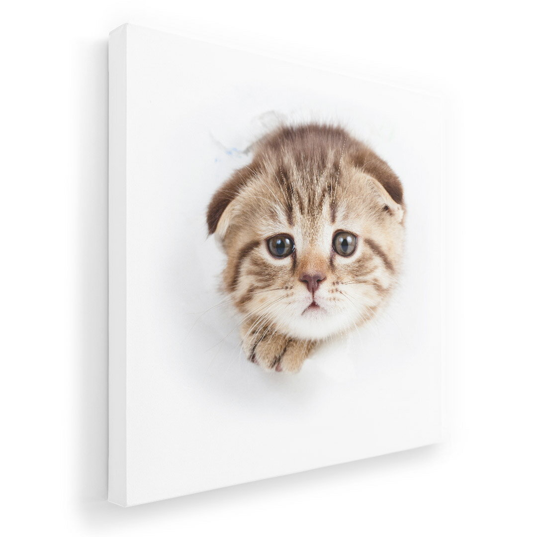 ファブリックパネル　ポスター アートフレーム　キャンバスアート 玄関 リビング　アートボード同じデザインの各サイズへはこちらから ▼　▼　▼　▼　▼&nbsp;