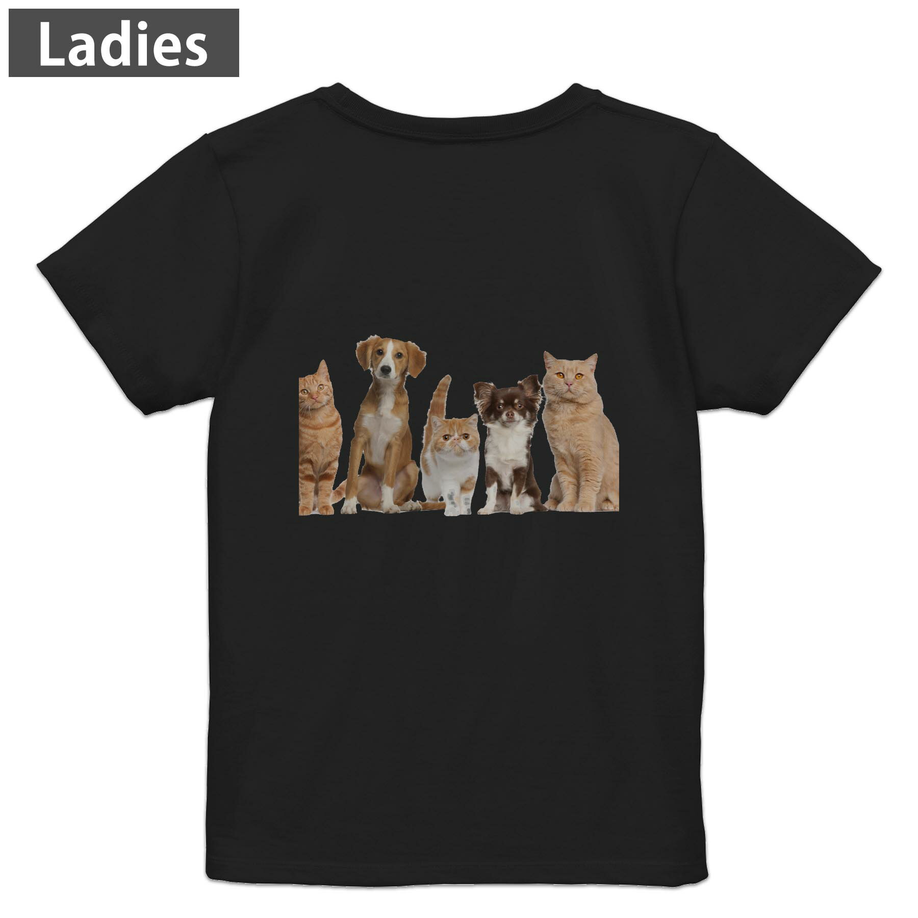 tシャツ レディース 半袖 ホワイト グレー デザイン M L Tシャツ ティーシャツ T shirt　白 灰色▼女性用半袖Tシャツ　ブラック　全デザインはこちらから▼ ▼女性用半袖Tシャツ　ブラック前面デザインはこちらから▼ ▼バックプリ...