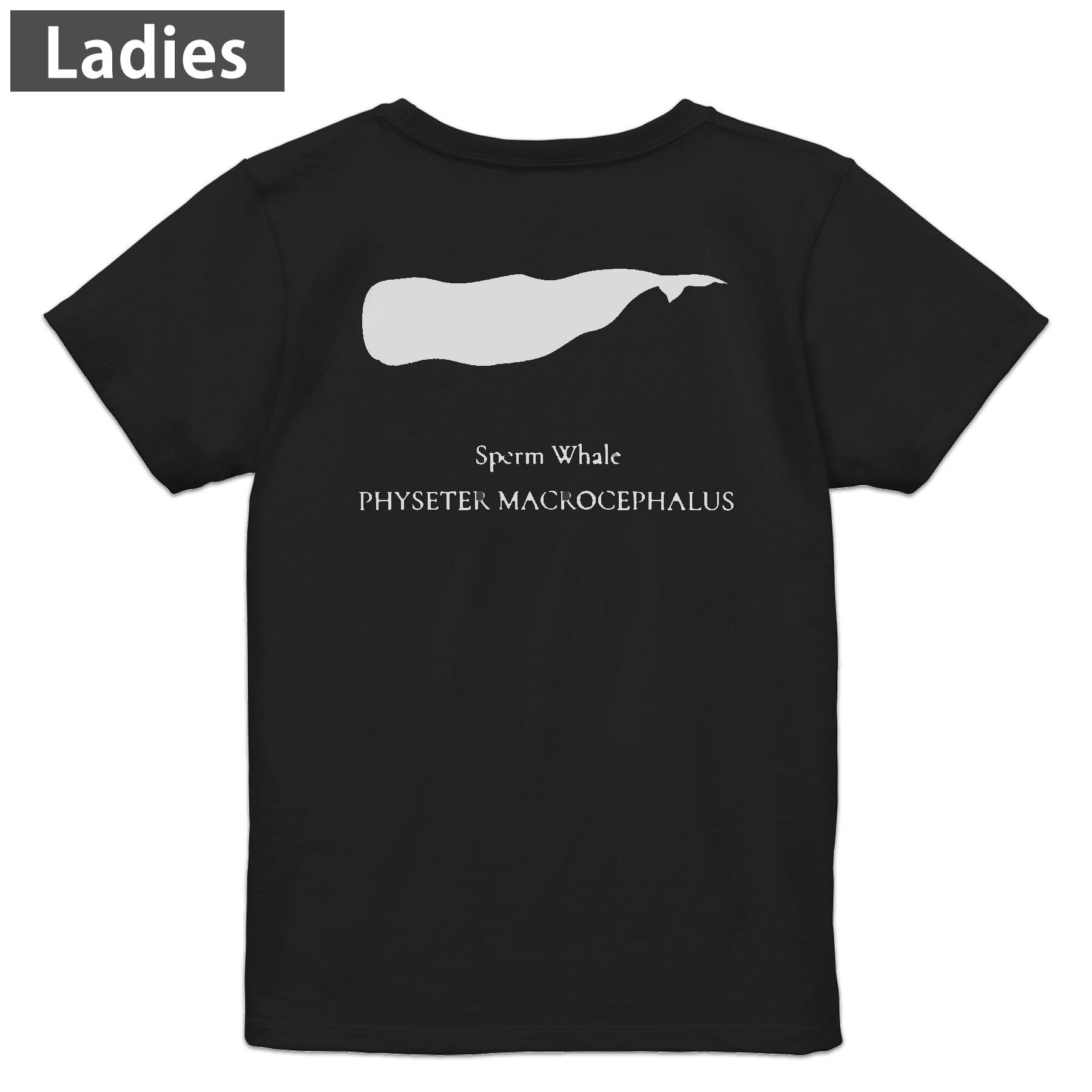 tシャツ レディース 半袖 ホワイト グレー デザイン M L Tシャツ ティーシャツ T shirt　白 灰色▼女性用半袖Tシャツ　ブラック　全デザインはこちらから▼ ▼女性用半袖Tシャツ　ブラック前面デザインはこちらから▼ ▼バックプリ...