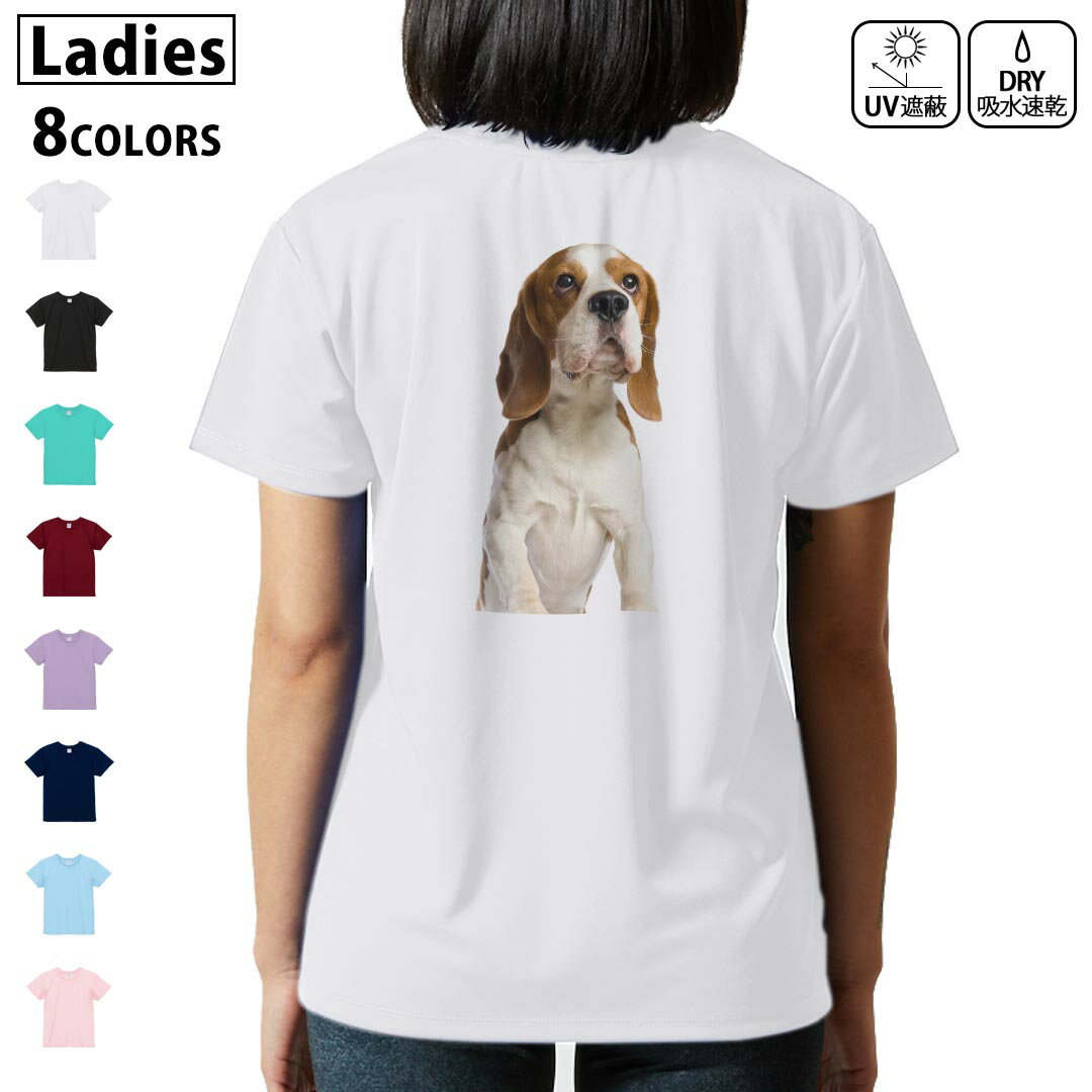 tシャツ レディース 半袖 背面デザイン ホワイト グレー デザイン M L Tシャツ ティーシャツ T shirt　白 ライトピン ベビー ピンク ブルー ネイビー パープル各カラーのイメージ画像は▼画像をクリックで拡大▼ ホワイト ブラ...