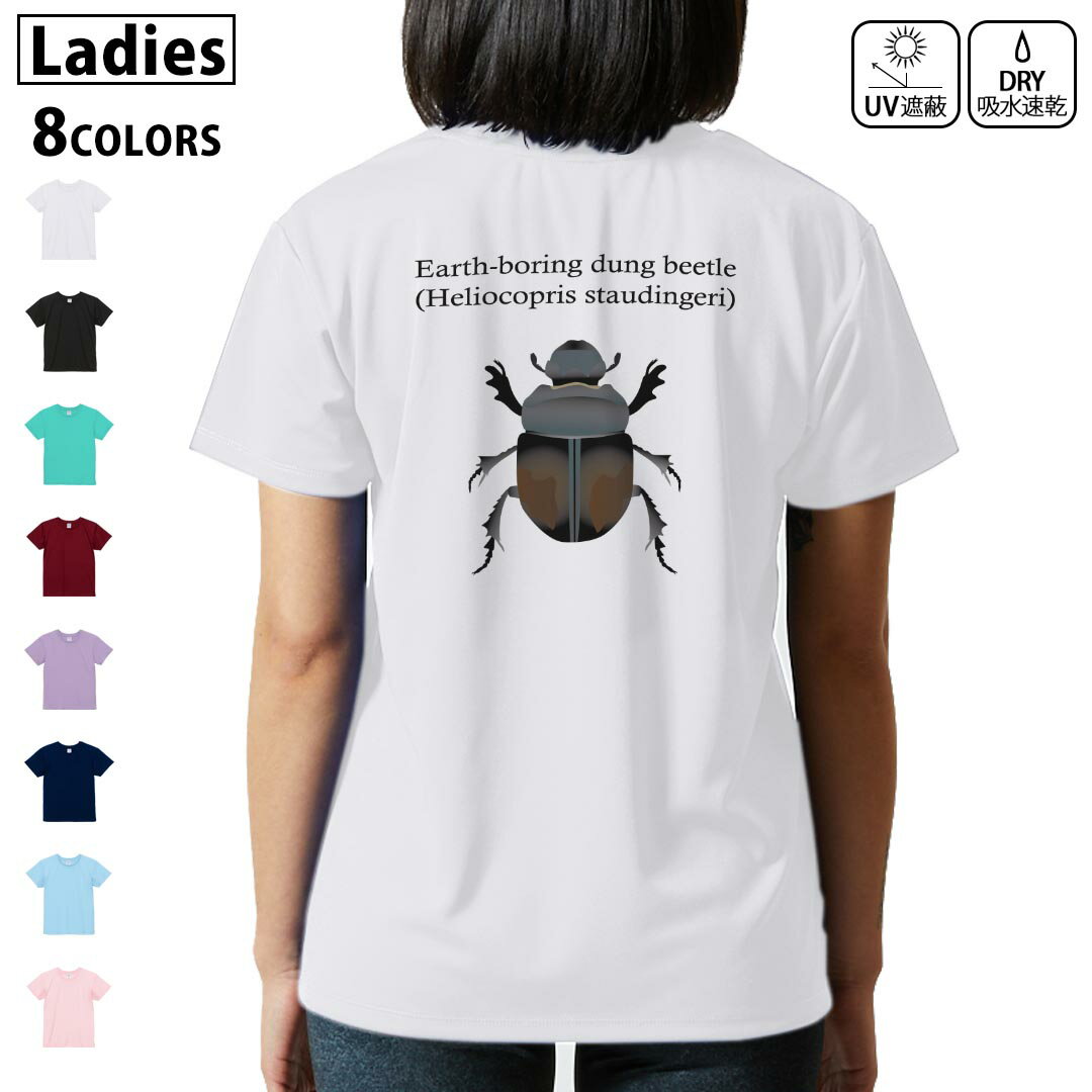 tシャツ レディース 半袖 背面デザイン ホワイト グレー デザイン M L Tシャツ ティーシャツ T shirt　白 ライトピン ベビー ピンク ブルー ネイビー パープル各カラーのイメージ画像は▼画像をクリックで拡大▼ ホワイト ブラ...