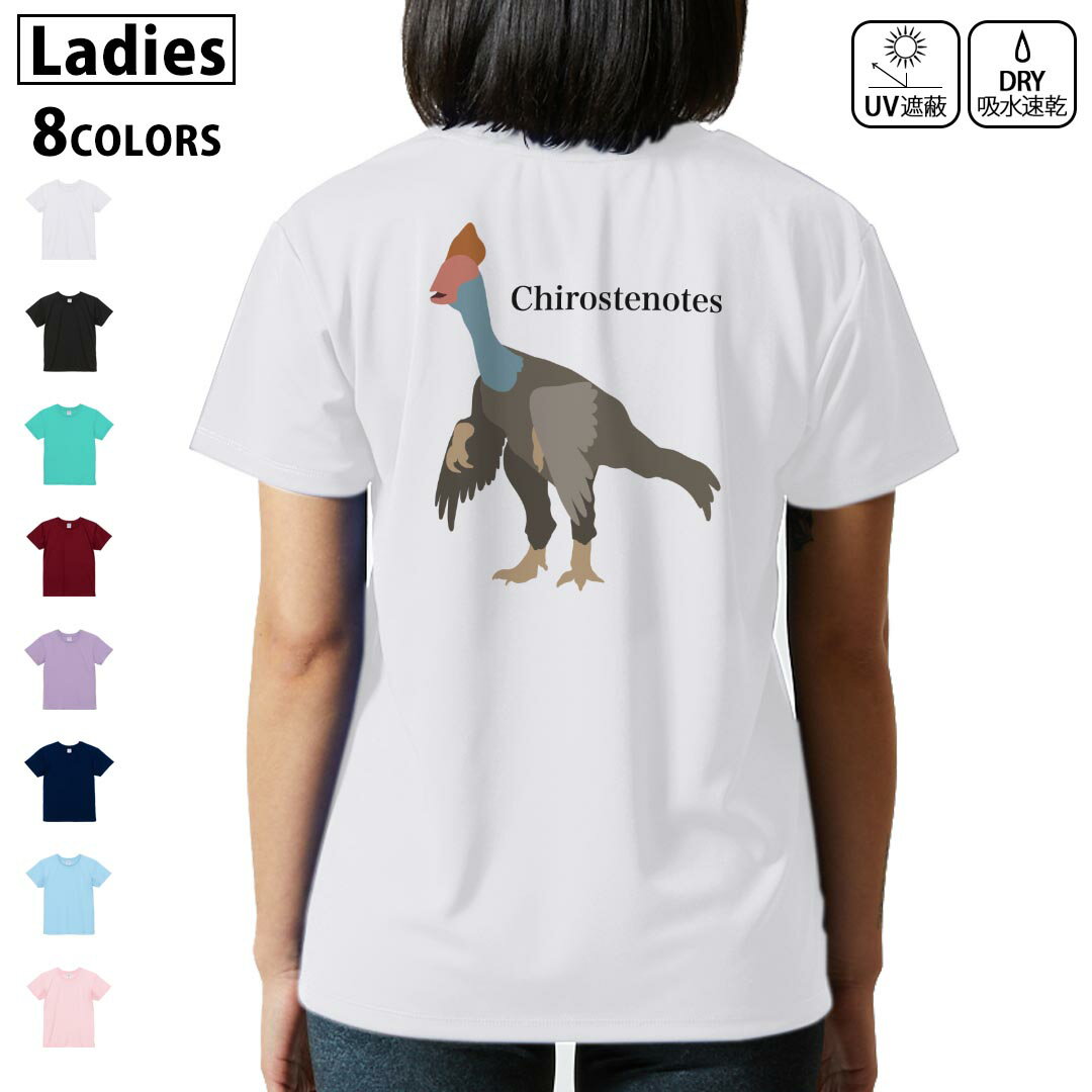 tシャツ レディース 半袖 背面デザイン ホワイト グレー デザイン M L Tシャツ ティーシャツ T shirt　白 ライトピン ベビー ピンク ブルー ネイビー パープル各カラーのイメージ画像は▼画像をクリックで拡大▼ ホワイト ブラ...