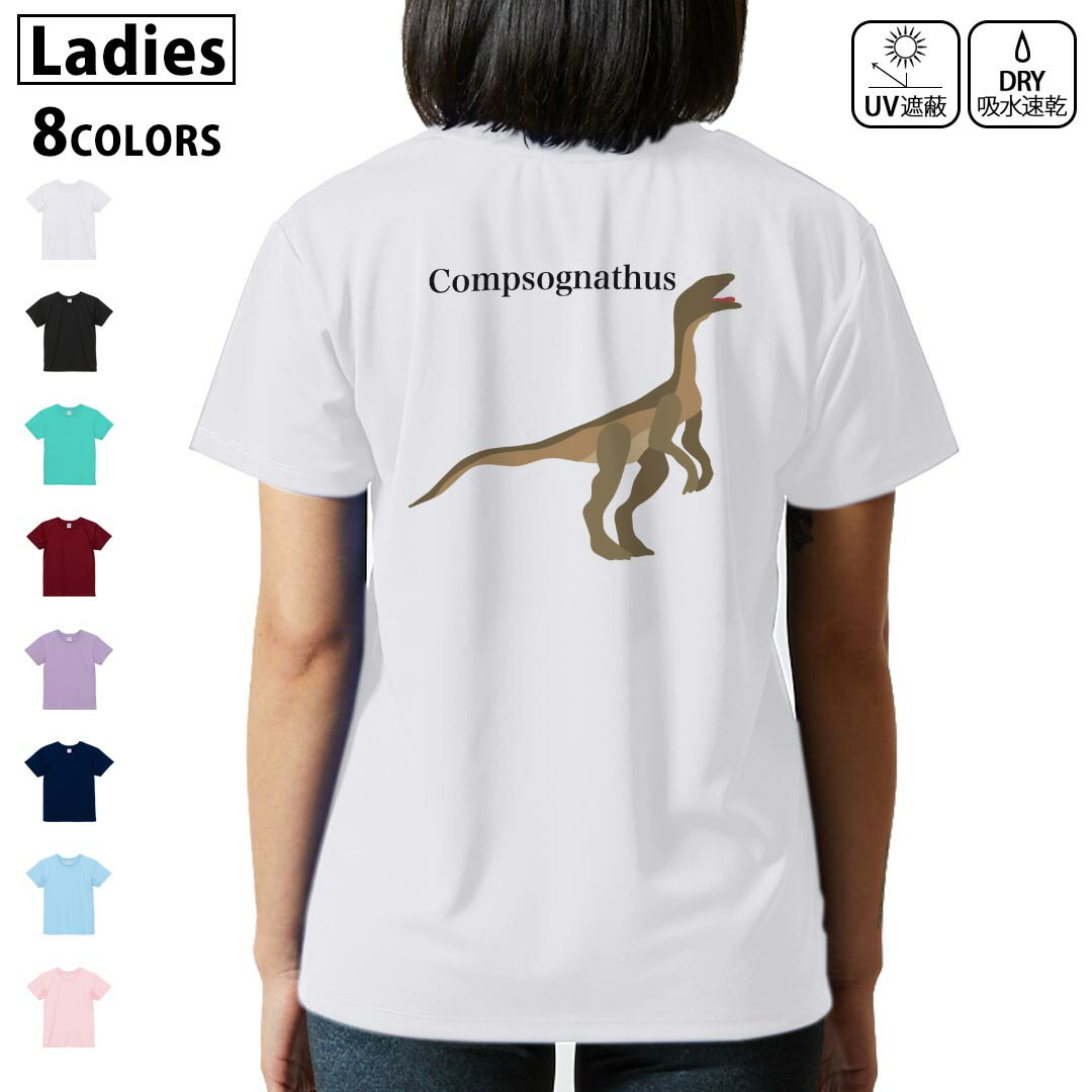 tシャツ レディース 半袖 背面デザイン ホワイト グレー デザイン M L Tシャツ ティーシャツ T shirt　白 ライトピン ベビー ピンク ブルー ネイビー パープル各カラーのイメージ画像は▼画像をクリックで拡大▼ ホワイト ブラ...