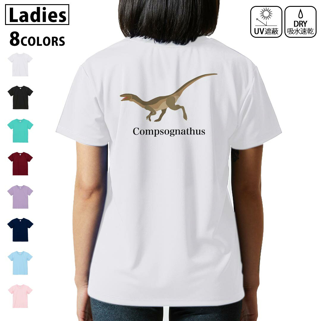 tシャツ レディース 半袖 背面デザイン ホワイト グレー デザイン M L Tシャツ ティーシャツ T shirt　白 ライトピン ベビー ピンク ブルー ネイビー パープル各カラーのイメージ画像は▼画像をクリックで拡大▼ ホワイト ブラ...