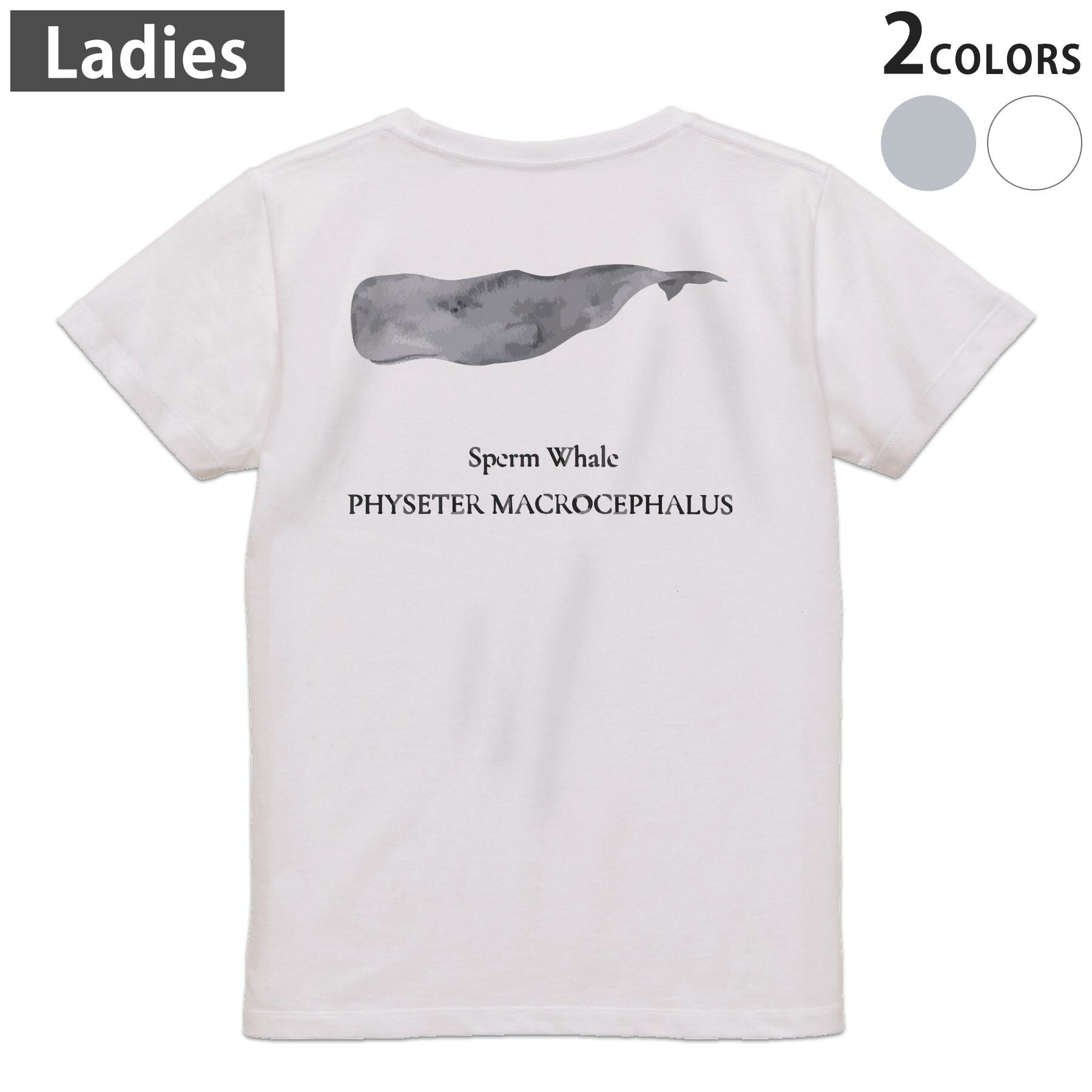 tシャツ レディース 半袖 ホワイト グレー デザイン M L Tシャツ ティーシャツ T shirt　白 灰色▼バックプリントTシャツ　ホワイト・グレー全デザイン▼▼女性用半袖Tシャツ　デザインはこちらから▼ ▼女性用半袖Tシャツ　ブラッ...