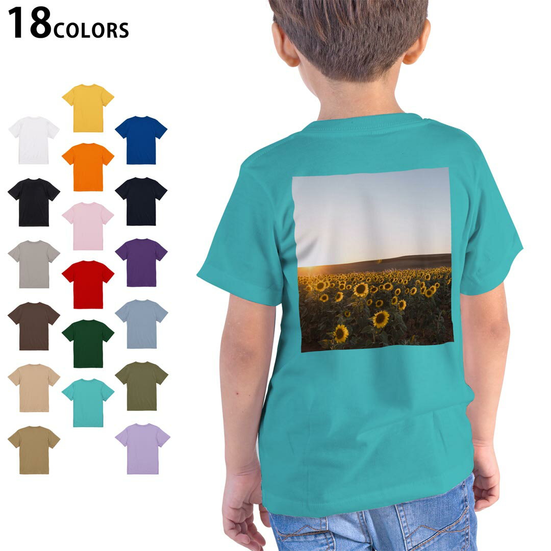 tシャツ キッズ 半袖 ホワイト グレー デザイン 90 100 110 120 130 140 150 160 Tシャツ ティーシャツ T shirt　白 灰色ライトグレー チャコール ライトベージュ サンドカーキ バナナ オレンジ ライ...
