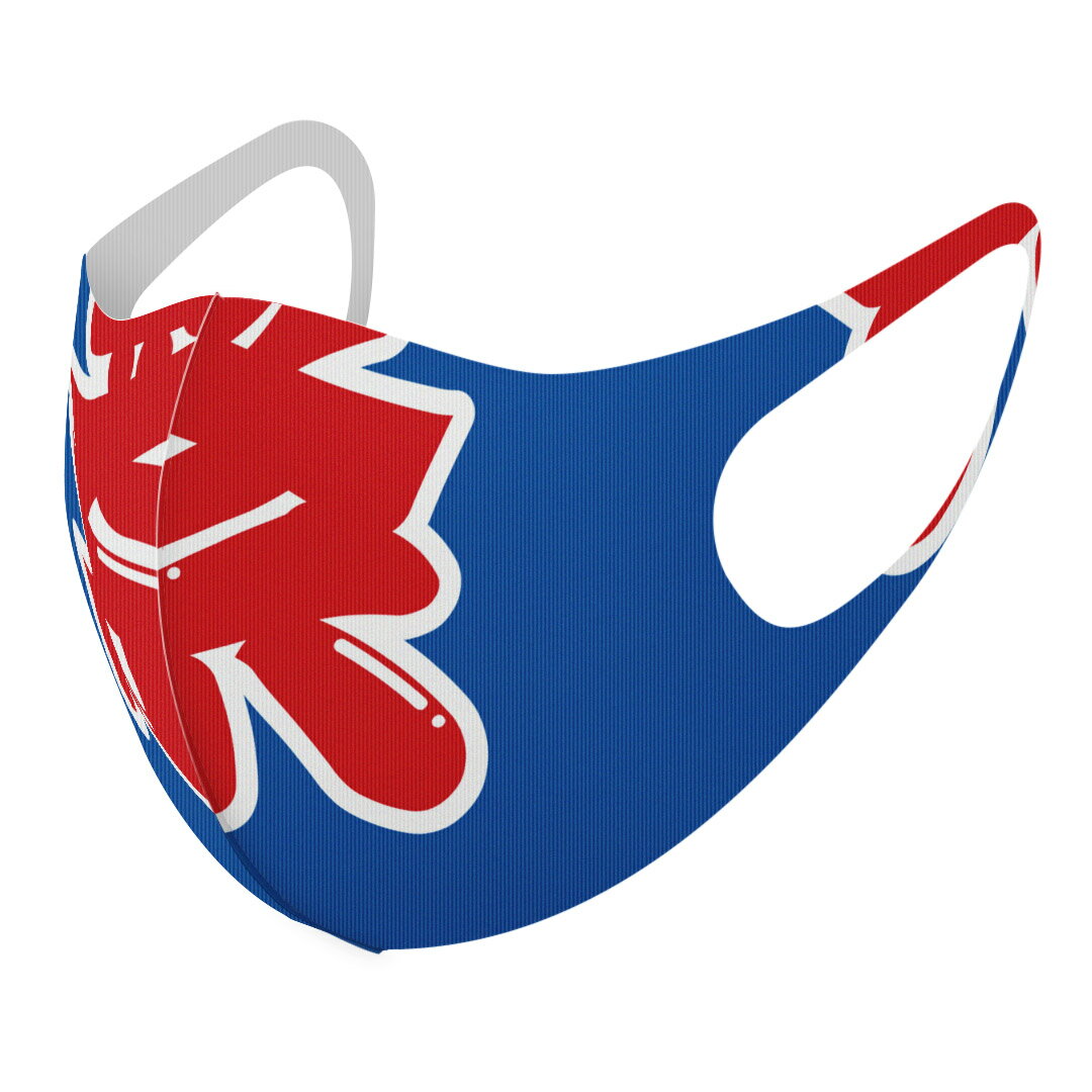 商品特徴・洗って繰り返し使える デザインマスク 2枚セット・素材：ポリエステル　サラサラとした肌触りで通気性がよく、呼吸も苦しくなりにくい・3D立体構造で伸縮性もあるので、顔にしっかりフィットして耳が痛くなりにくい・専用の高精細転写プリンタ...