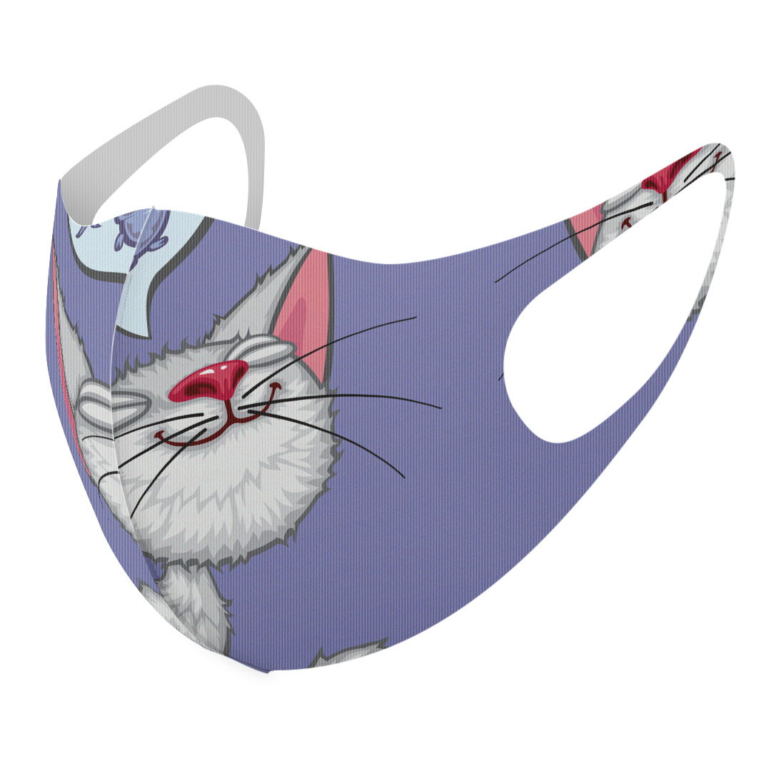 商品特徴・洗って繰り返し使える デザインマスク 2枚セット・素材：ポリエステル　サラサラとした肌触りで通気性がよく、呼吸も苦しくなりにくい・3D立体構造で伸縮性もあるので、顔にしっかりフィットして耳が痛くなりにくい・専用の高精細転写プリンタ...