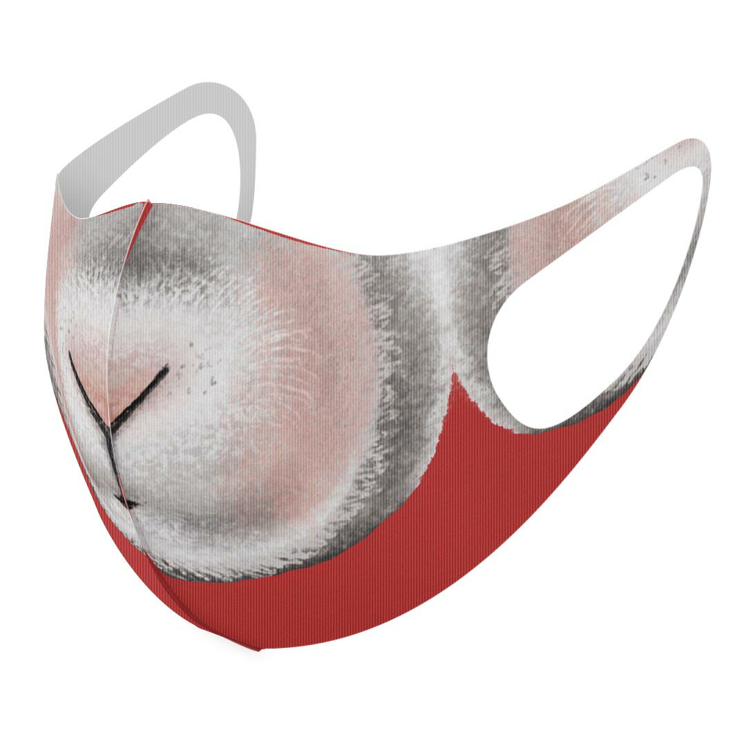 商品特徴・洗って繰り返し使える デザインマスク 2枚セット・素材：ポリエステル　サラサラとした肌触りで通気性がよく、呼吸も苦しくなりにくい・3D立体構造で伸縮性もあるので、顔にしっかりフィットして耳が痛くなりにくい・専用の高精細転写プリンタ...