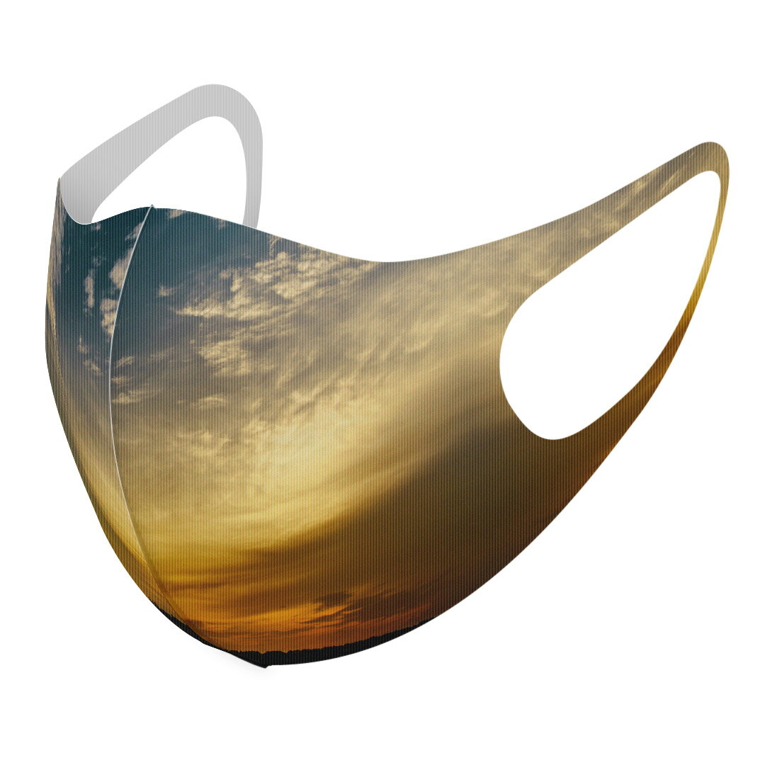 商品特徴・洗って繰り返し使える デザインマスク 2枚セット・素材：ポリエステル　サラサラとした肌触りで通気性がよく、呼吸も苦しくなりにくい・3D立体構造で伸縮性もあるので、顔にしっかりフィットして耳が痛くなりにくい・専用の高精細転写プリンタ...