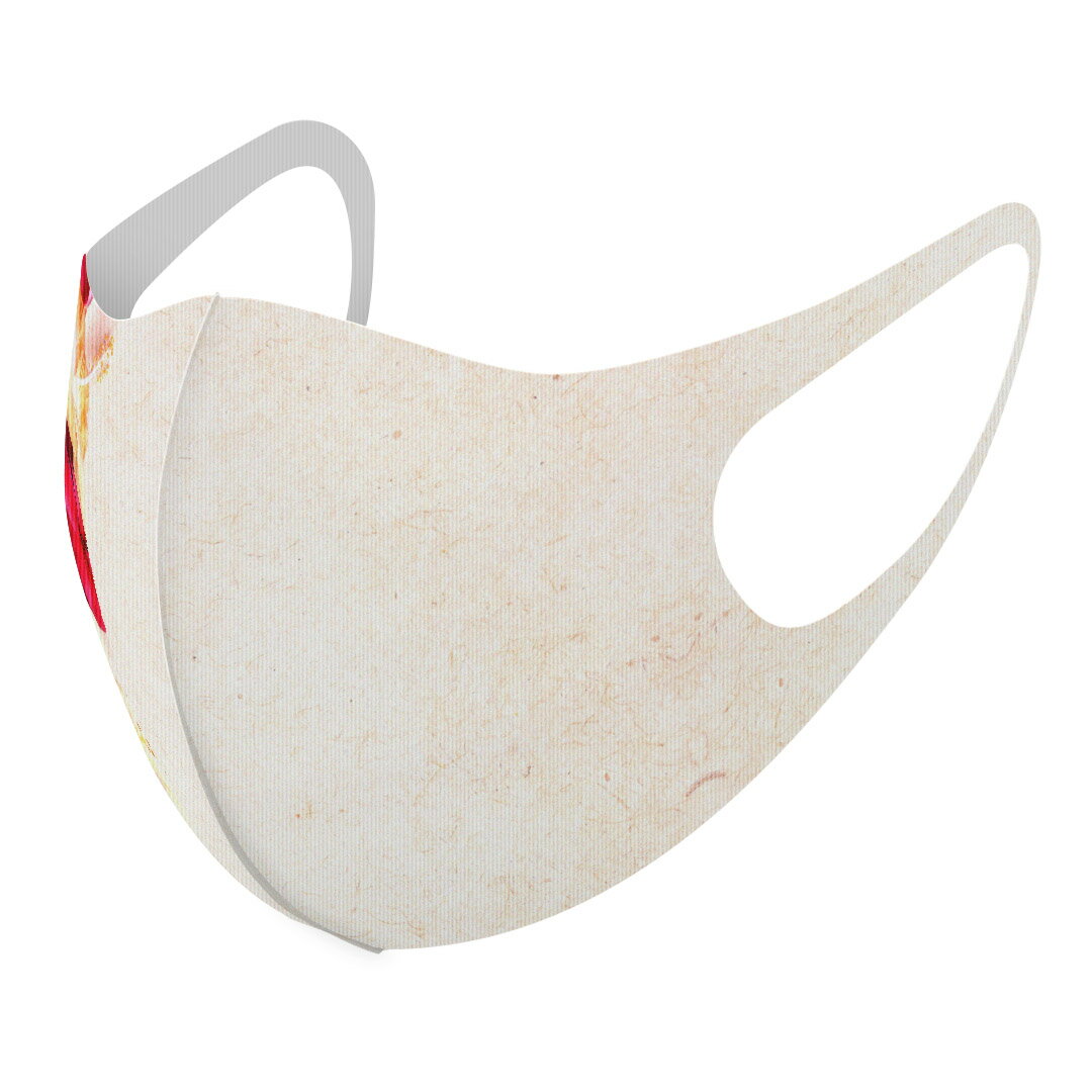 商品特徴・洗って繰り返し使える デザインマスク 2枚セット・素材：ポリエステル　サラサラとした肌触りで通気性がよく、呼吸も苦しくなりにくい・3D立体構造で伸縮性もあるので、顔にしっかりフィットして耳が痛くなりにくい・専用の高精細転写プリンタ...