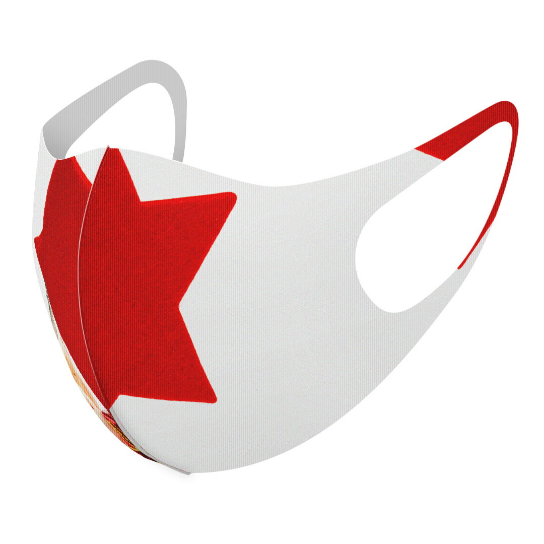 商品特徴・洗って繰り返し使える デザインマスク 2枚セット・素材：ポリエステル　サラサラとした肌触りで通気性がよく、呼吸も苦しくなりにくい・3D立体構造で伸縮性もあるので、顔にしっかりフィットして耳が痛くなりにくい・専用の高精細転写プリンタ...