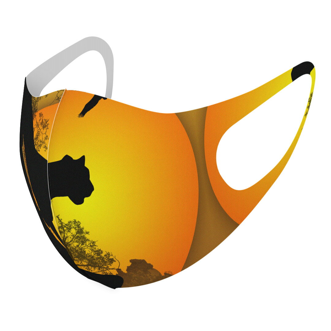 商品特徴・洗って繰り返し使える デザインマスク 2枚セット・素材：ポリエステル　サラサラとした肌触りで通気性がよく、呼吸も苦しくなりにくい・3D立体構造で伸縮性もあるので、顔にしっかりフィットして耳が痛くなりにくい・専用の高精細転写プリンタ...