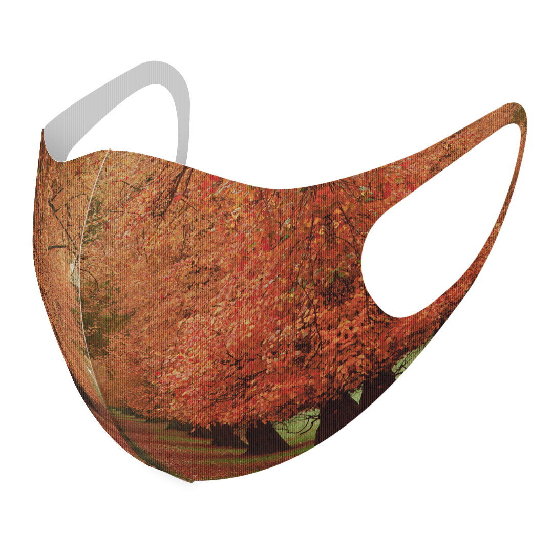 商品特徴・洗って繰り返し使える デザインマスク 2枚セット・素材：ポリエステル　サラサラとした肌触りで通気性がよく、呼吸も苦しくなりにくい・3D立体構造で伸縮性もあるので、顔にしっかりフィットして耳が痛くなりにくい・専用の高精細転写プリンタ...