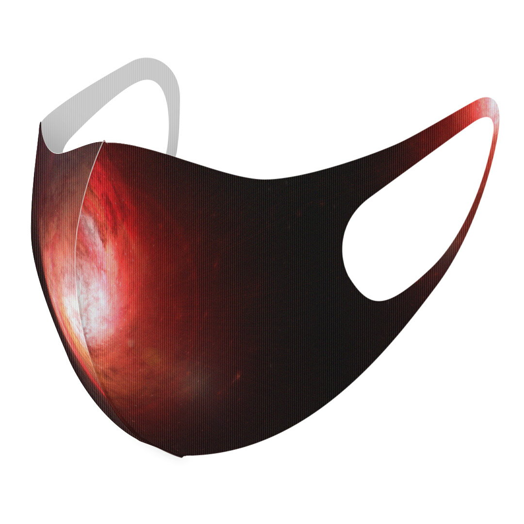 商品特徴・洗って繰り返し使える デザインマスク 2枚セット・素材：ポリエステル　サラサラとした肌触りで通気性がよく、呼吸も苦しくなりにくい・3D立体構造で伸縮性もあるので、顔にしっかりフィットして耳が痛くなりにくい・専用の高精細転写プリンタ...