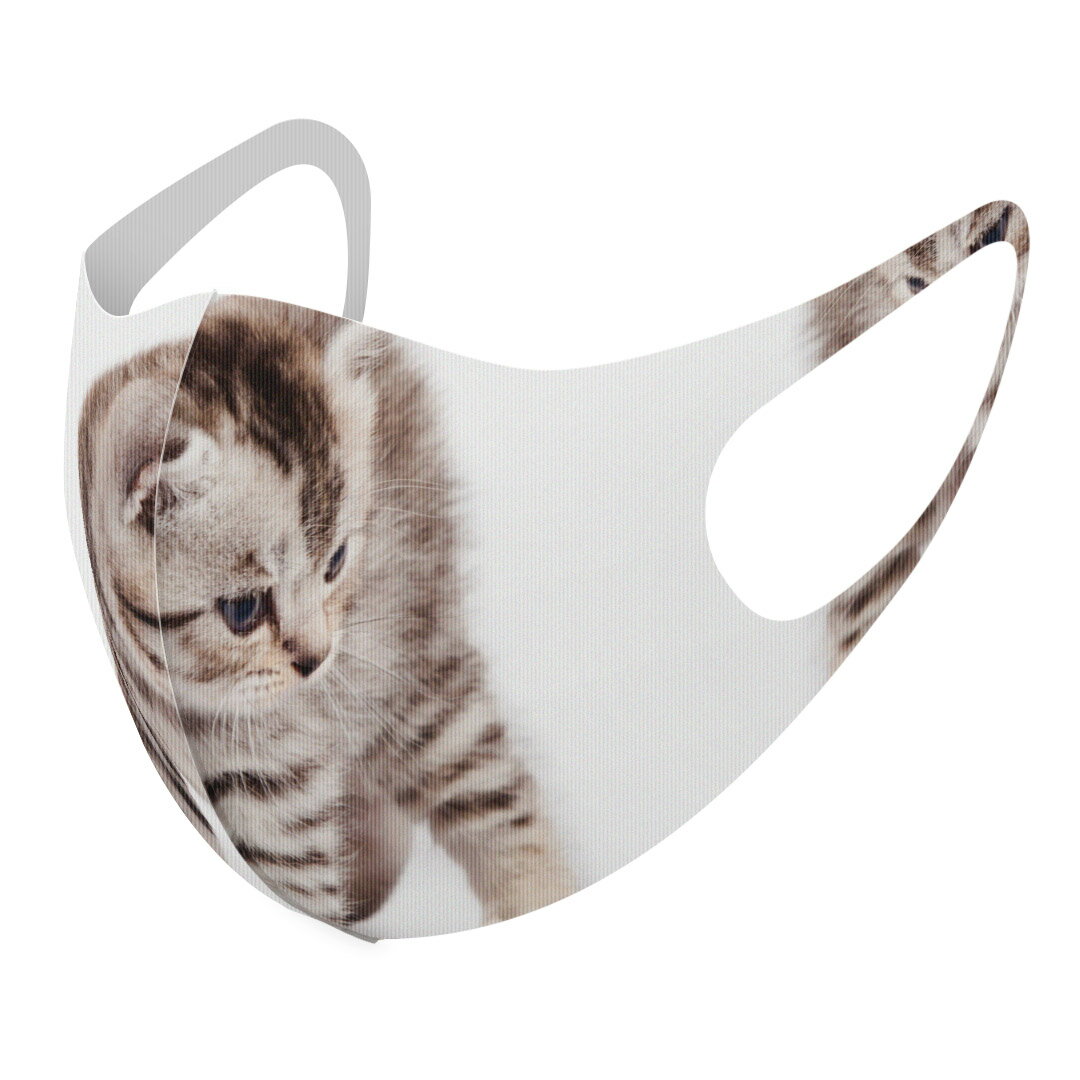 商品特徴・洗って繰り返し使える デザインマスク 2枚セット・素材：ポリエステル　サラサラとした肌触りで通気性がよく、呼吸も苦しくなりにくい・3D立体構造で伸縮性もあるので、顔にしっかりフィットして耳が痛くなりにくい・専用の高精細転写プリンタ...