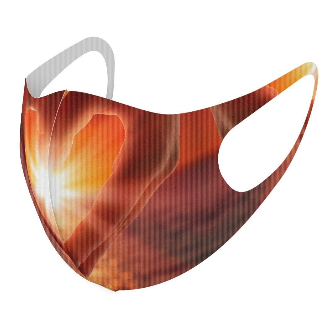 商品特徴・洗って繰り返し使える デザインマスク 2枚セット・素材：ポリエステル　サラサラとした肌触りで通気性がよく、呼吸も苦しくなりにくい・3D立体構造で伸縮性もあるので、顔にしっかりフィットして耳が痛くなりにくい・専用の高精細転写プリンタ...