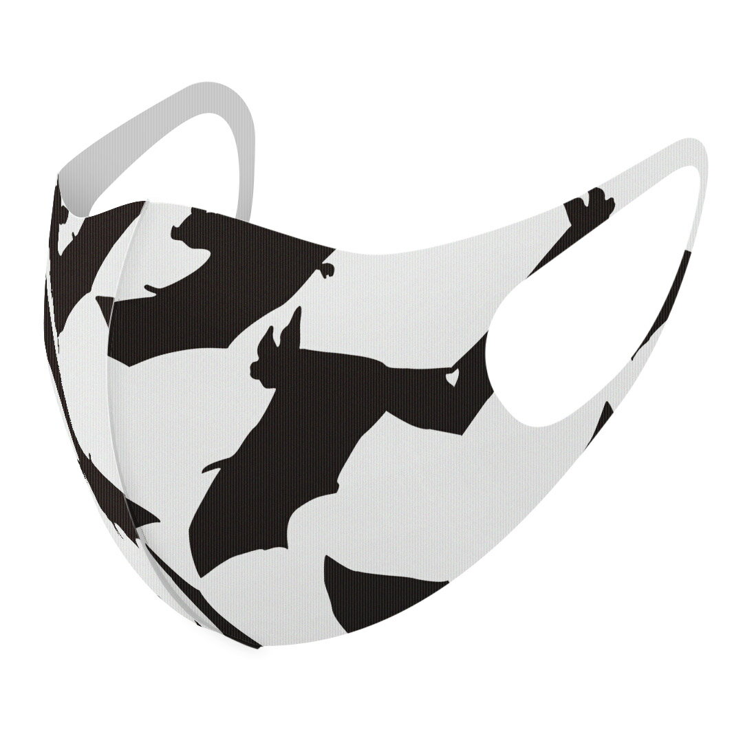 商品特徴・洗って繰り返し使える デザインマスク 2枚セット・素材：ポリエステル　サラサラとした肌触りで通気性がよく、呼吸も苦しくなりにくい・3D立体構造で伸縮性もあるので、顔にしっかりフィットして耳が痛くなりにくい・専用の高精細転写プリンタ...