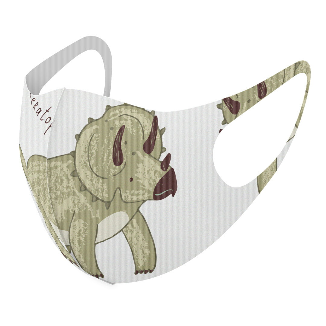 商品特徴・洗って繰り返し使える デザインマスク 2枚セット・素材：ポリエステル　サラサラとした肌触りで通気性がよく、呼吸も苦しくなりにくい・3D立体構造で伸縮性もあるので、顔にしっかりフィットして耳が痛くなりにくい・専用の高精細転写プリンタ...