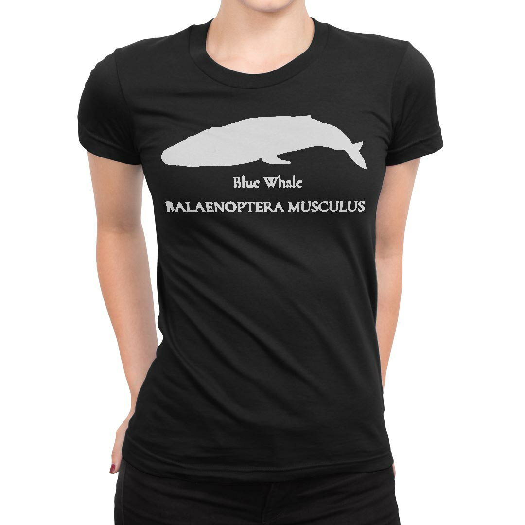 tシャツ レディース 半袖 黒 ブラック デザイン S M L XL Tシャツ ティーシャツ T shirt▼女性用半袖Tシャツ　ブラック全デザインはこちらから▼▼女性用半袖Tシャツ　ホワイト・グレー全デザインはこちらから▼商品特徴・160...