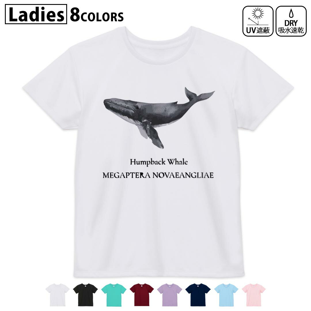 tシャツ レディース 半袖 ホワイト グレー デザイン M L Tシャツ ティーシャツ T shirt　白 灰色　グレー オレンジ ライトピン ベビーピンク ピンク レッド グリーン ブルー ネイビー パープル各カラーのイメージ画像は▼画像...