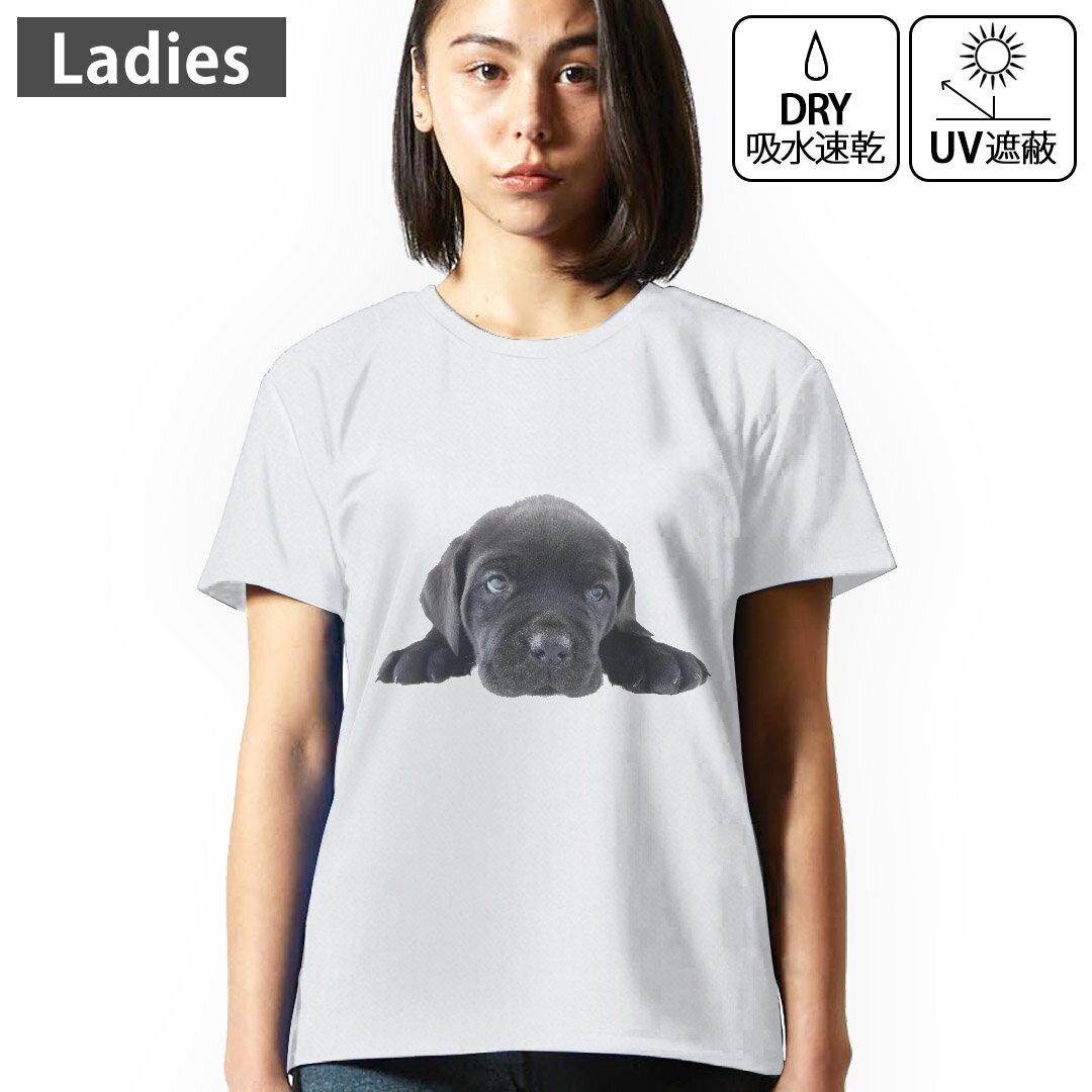 レディース ドライTシャツ ホワイト 半袖 4.1オンス ジム トレーニング スポーツ 運動会 ドライアスレチック UVカット 紫外線遮蔽 吸水速乾 デザイン Tshirt M L▼レディース ドライTシャツ全デザインはこちらから▼ 商品特...