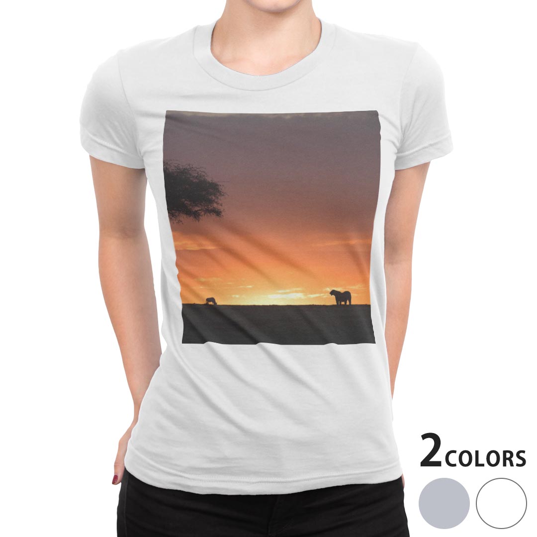 tシャツ レディース 半袖 ホワイト グレー 白　灰色 デザイン S M L XL Tシャツ ティーシャツ T shirt上記で使用したデザインTシャツはこちら▼女性用半袖Tシャツ　ホワイト・グレー全デザインはこちらから▼ ▼女性用半袖Tシ...