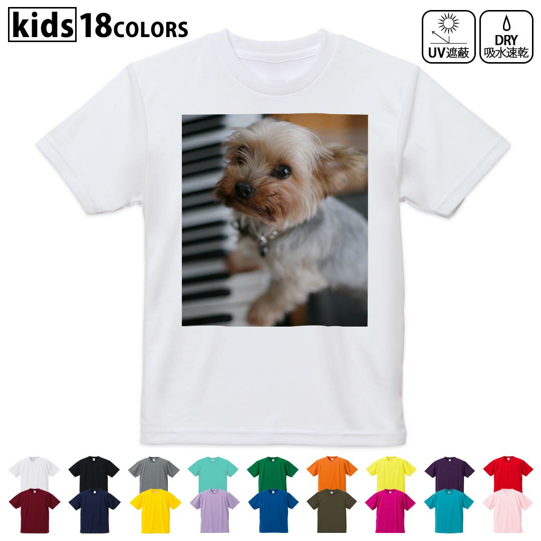 tシャツ メンズ 半袖 ホワイト グレー デザイン XS S M L XL 2XL Tシャツ ティーシャツ T shirt　白 灰色ライトグレー チャコール ライトベージュ サンドカーキ バナナ オレンジ ライトピン ベビーピンク ピンク ...