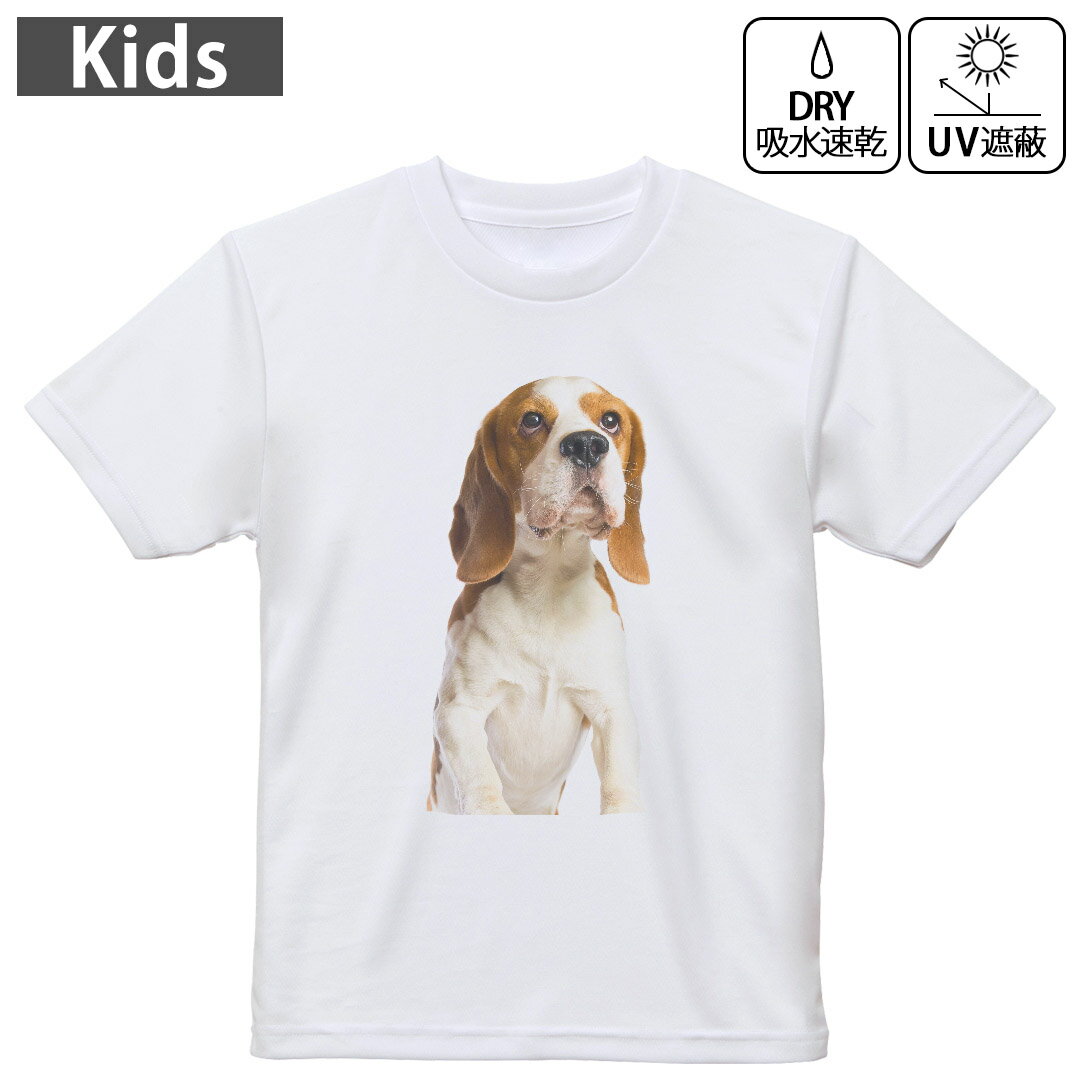 キッズ 子供 こども ドライTシャツ ホワイト 半袖 4.1オンス トレーニング スポーツ ジム 運動会 ドライアスレチック UVカット 紫外線遮蔽 吸水速乾 デザイン Tshirt シワが付きにくい 乾きやすい 120 130 140 1...