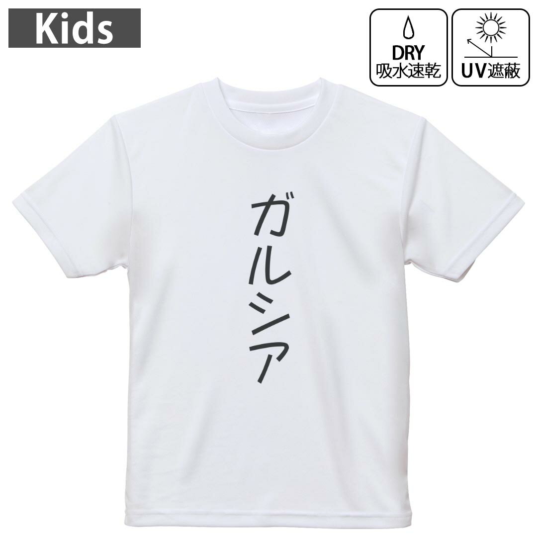 キッズ 子供 こども ドライTシャツ ホワイト 半袖 4.1オンス トレーニング スポーツ ジム 運動会 ドライアスレチック UVカット 紫外線遮蔽 吸水速乾 デザイン Tshirt シワが付きにくい 乾きやすい 120 130 140 1...