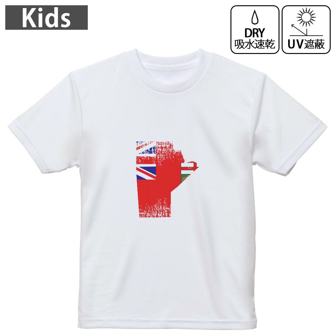 キッズ 子供 こども ドライTシャツ ホワイト 半袖 4.1オンス トレーニング スポーツ ジム 運動会 ドライアスレチック UVカット 紫外線遮蔽 吸水速乾 デザイン Tshirt シワが付きにくい 乾きやすい 120 130 140 1...