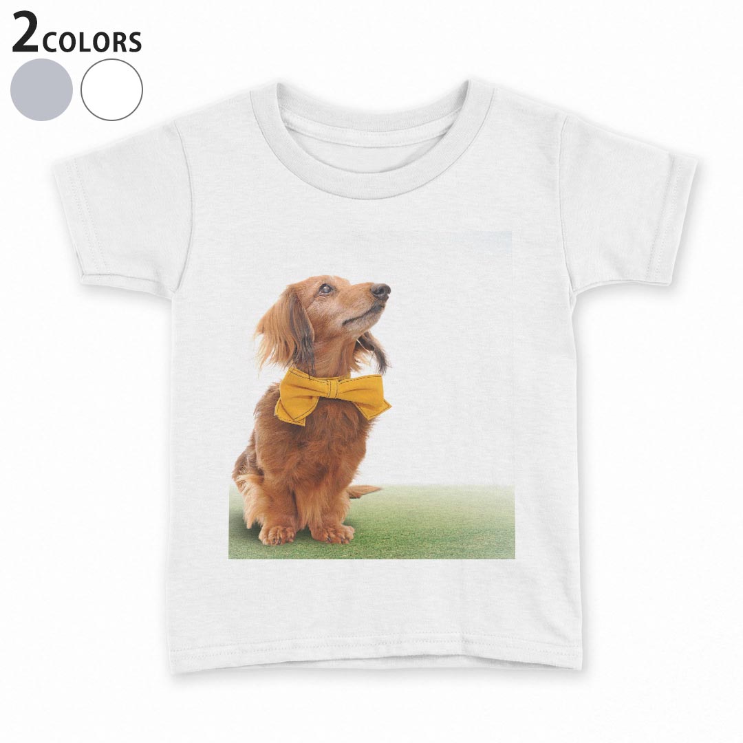 tシャツ キッズ 半袖 白地 灰色 ホワイト グレー デザイン 90 100 110 120 130 140 150 Tシャツ ティーシャツ T shirt上記で使用したデザインTシャツはこちら▼キッズ用Tシャツ　グレー・ホワイト全デザイン...