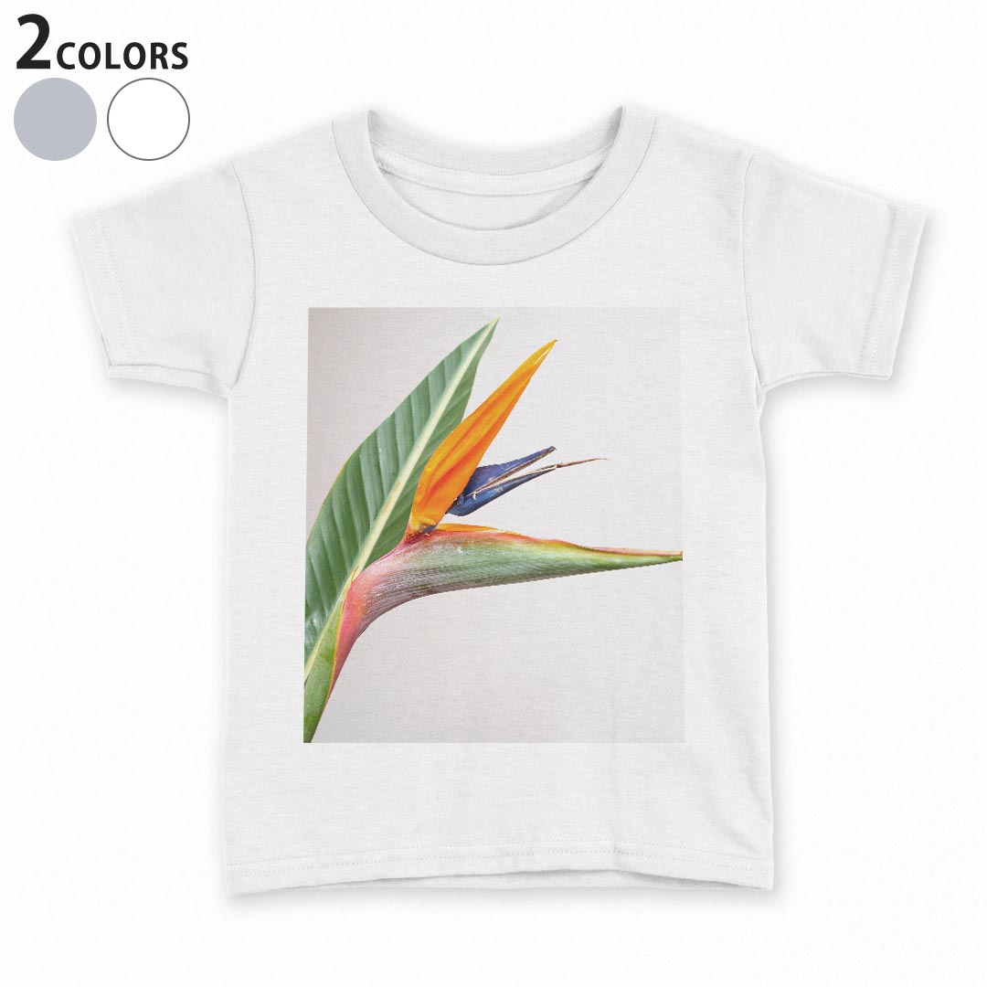 tシャツ キッズ 半袖 白地 灰色 ホワイト グレー デザイン 90 100 110 120 130 140 150 Tシャツ ティーシャツ T shirt上記で使用したデザインTシャツはこちら▼キッズ用Tシャツ　グレー・ホワイト全デザイン...
